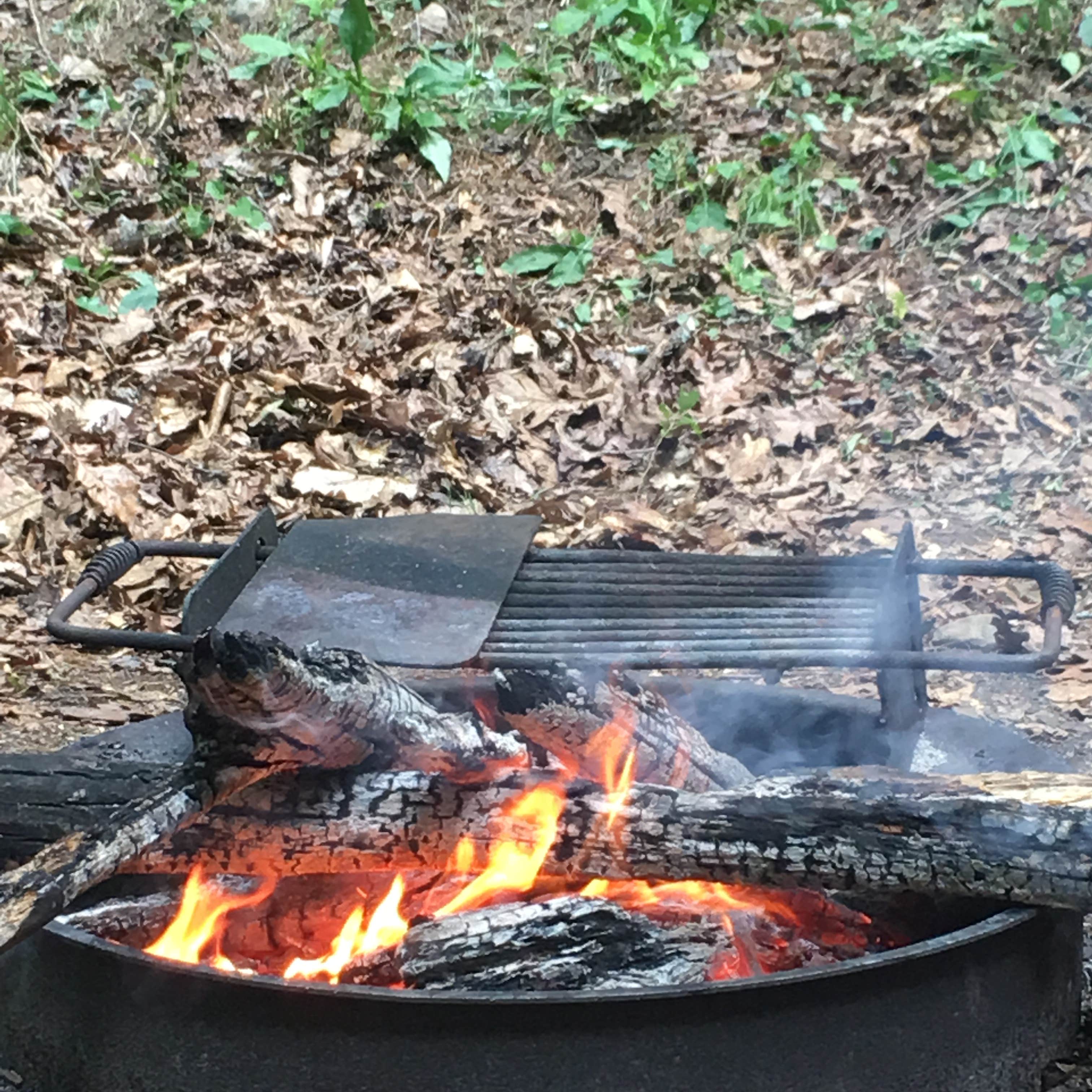 Raven Cliff Campground — George Washington & Jefferson National Forest ...