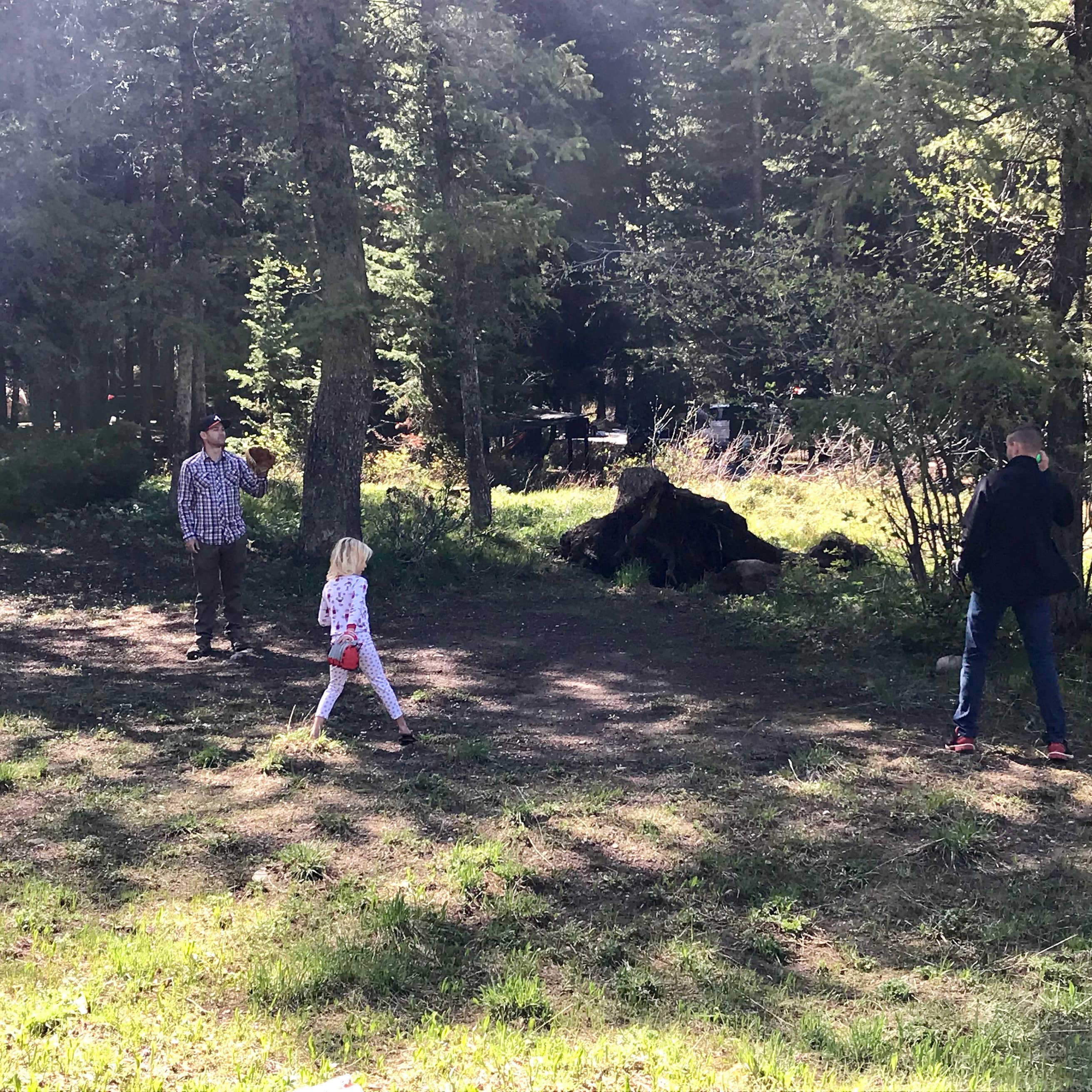 Teton Canyon Camping | The Dyrt