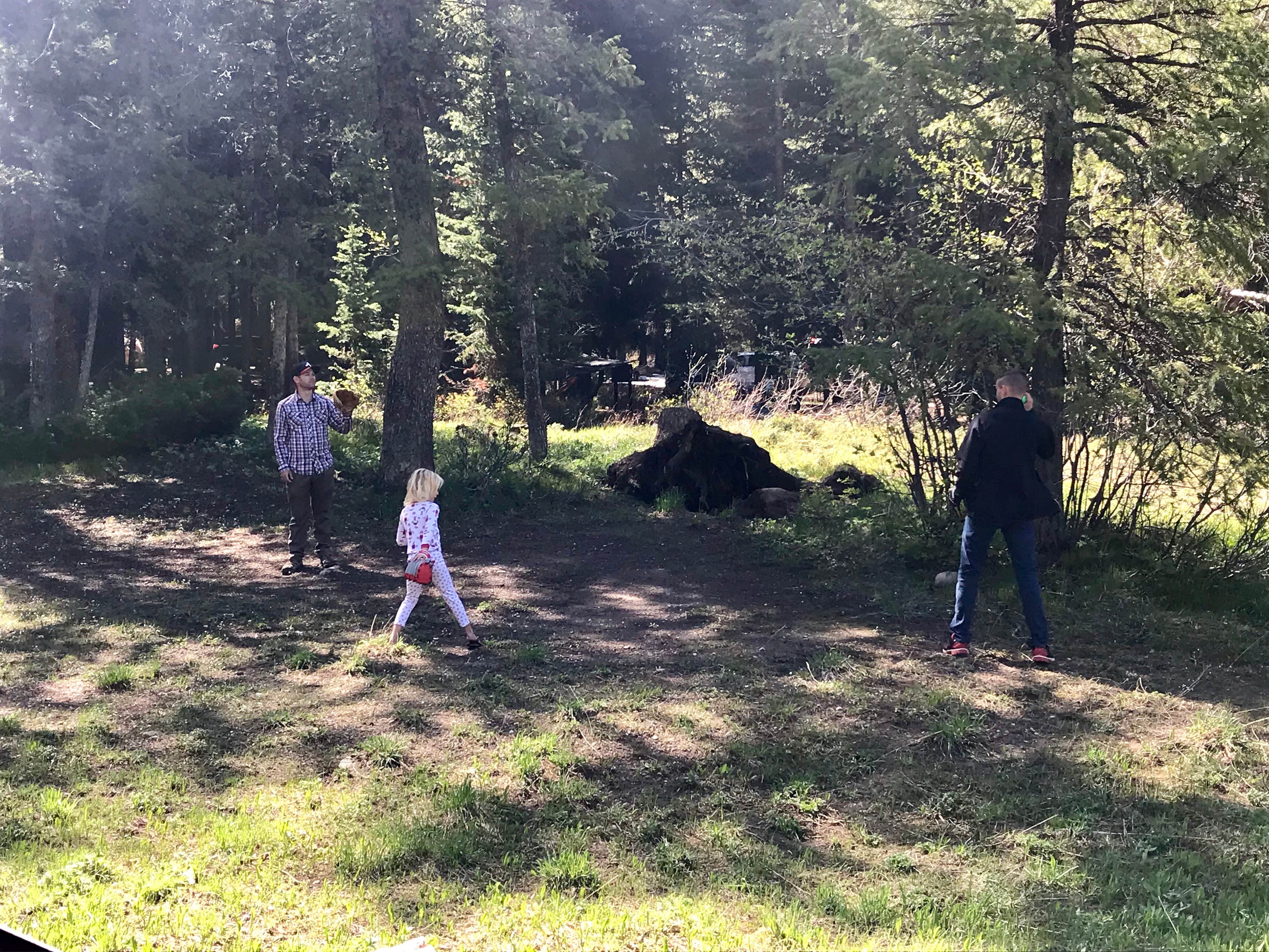 Teton Canyon Camping | The Dyrt