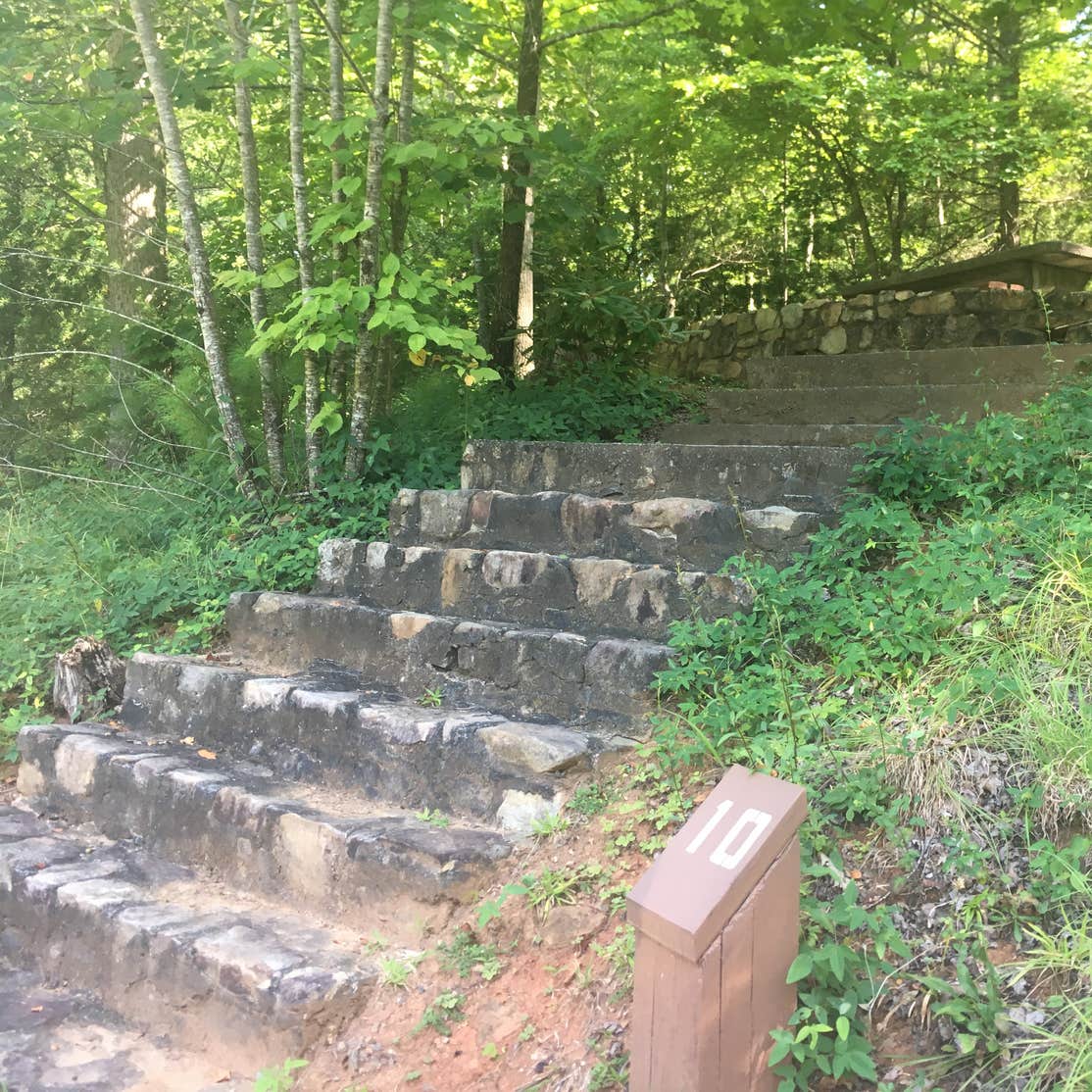 Rocky Bluff Campground — National Forests In North Carolina | Hot ...