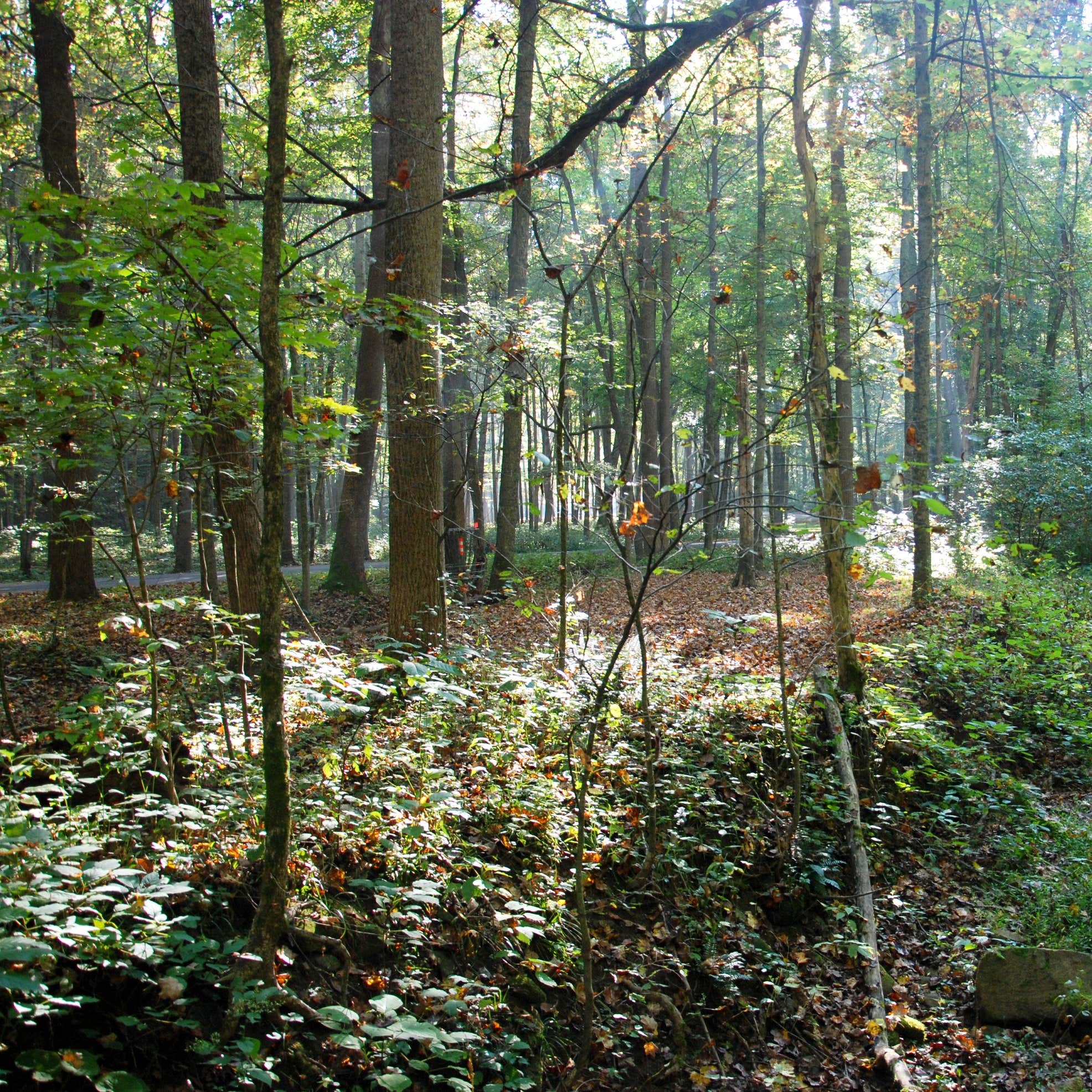 Pike Lake State Park Camping | The Dyrt