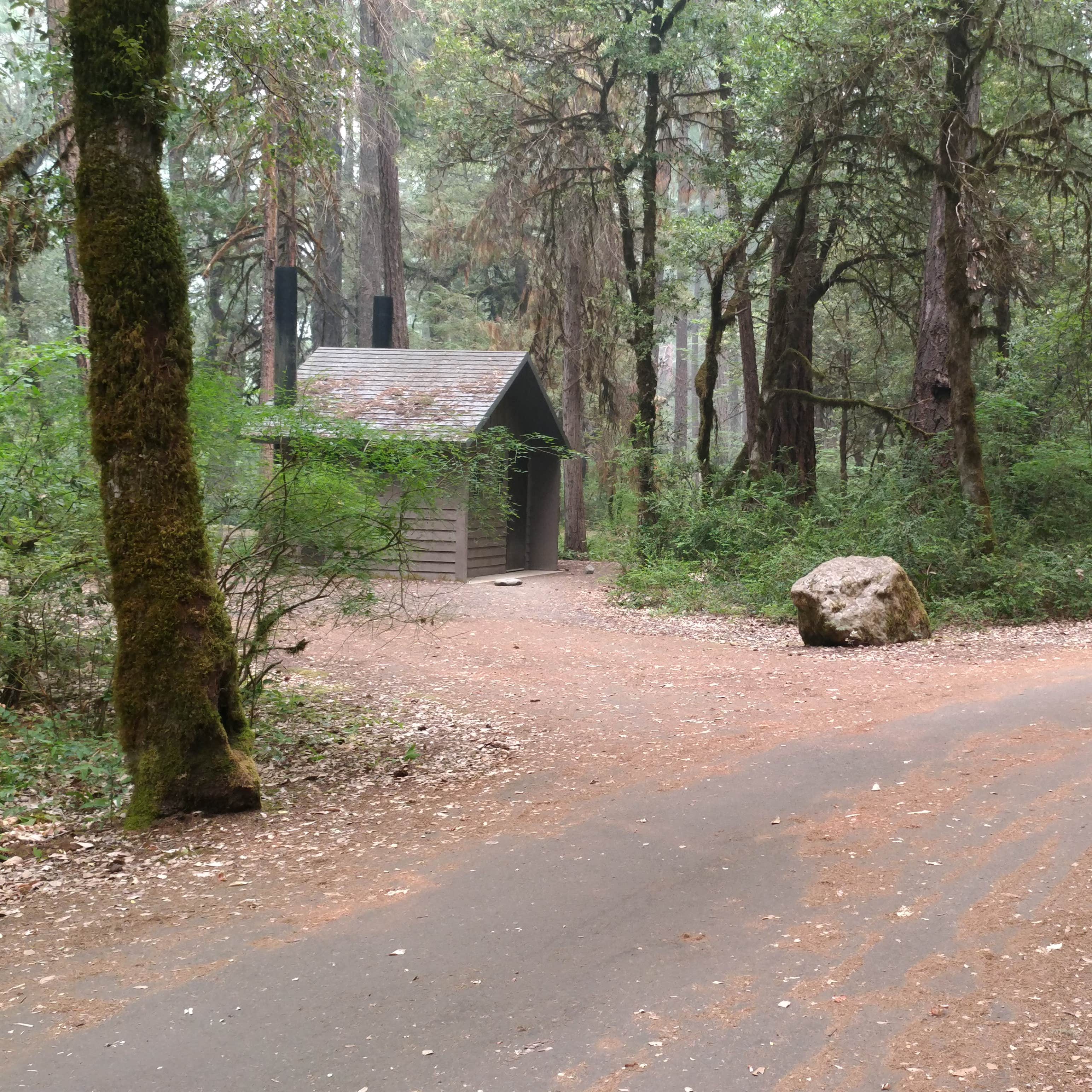 Grayback Campground Camping | The Dyrt