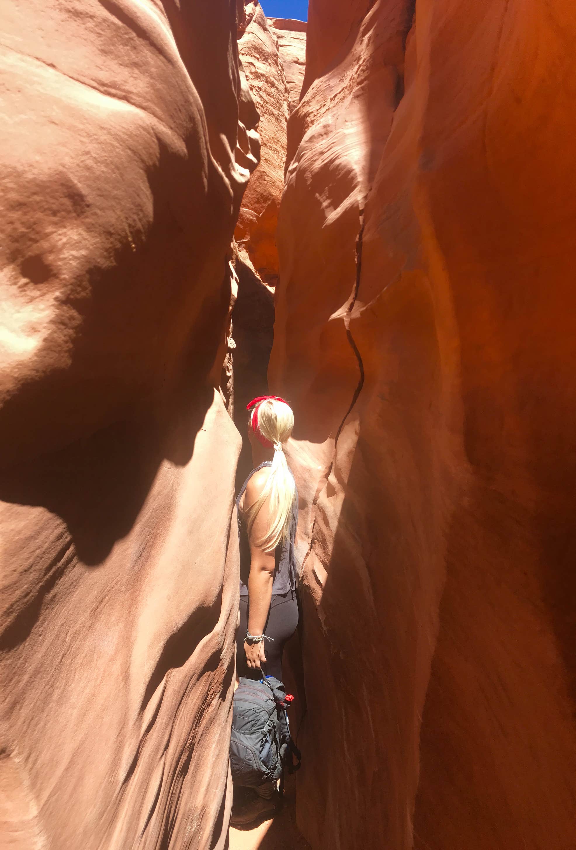 Escalante Petrified Forest | The Dyrt