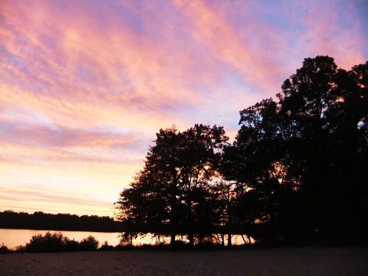 Parvin State Park Campground | Pittsgrove Township, NJ