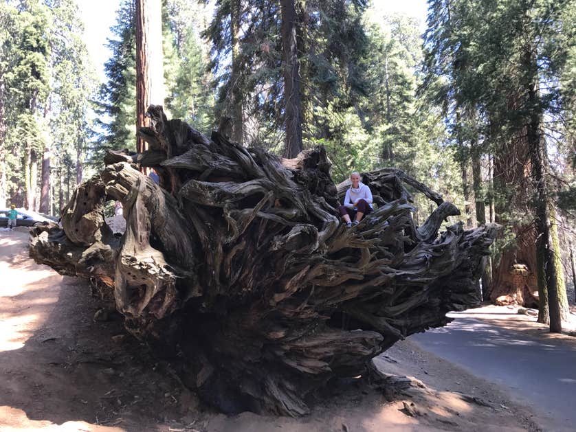 Cold Springs Campground (ca) Camping | The Dyrt