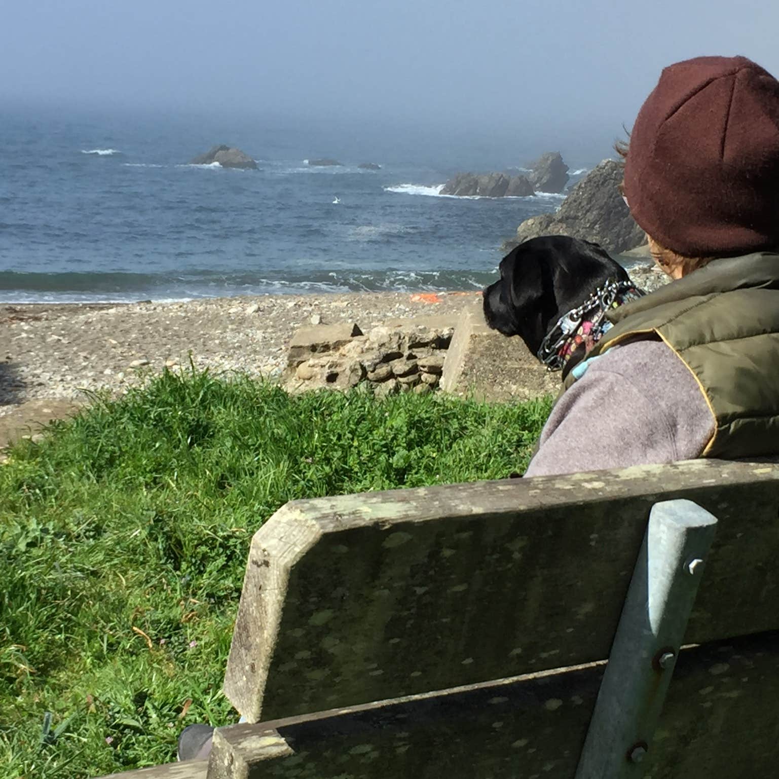 Stillwater Cove Regional Park Camping | The Dyrt