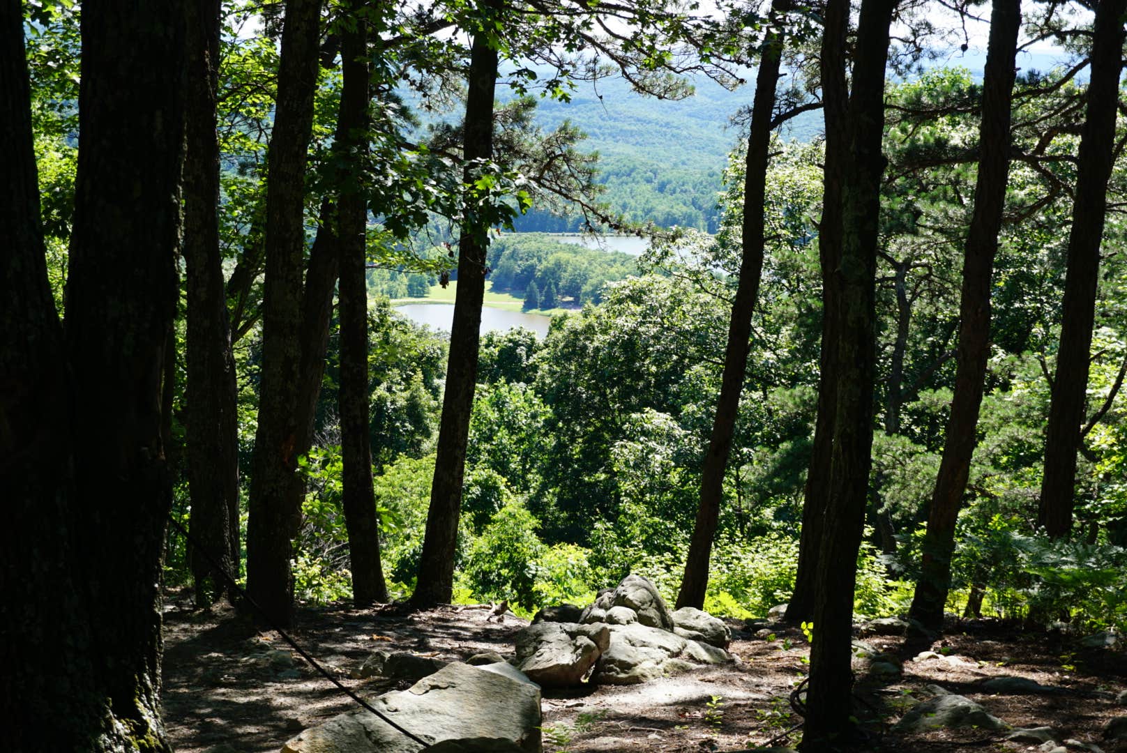 The Cove Campground | Gore, VA