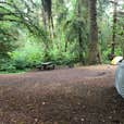 Queets Campground — Olympic National Park | Amanda Park, Washington