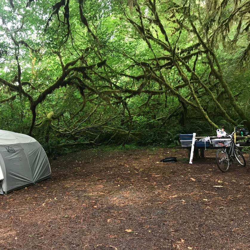 Queets Campground — Olympic National Park | Port angeles, WA
