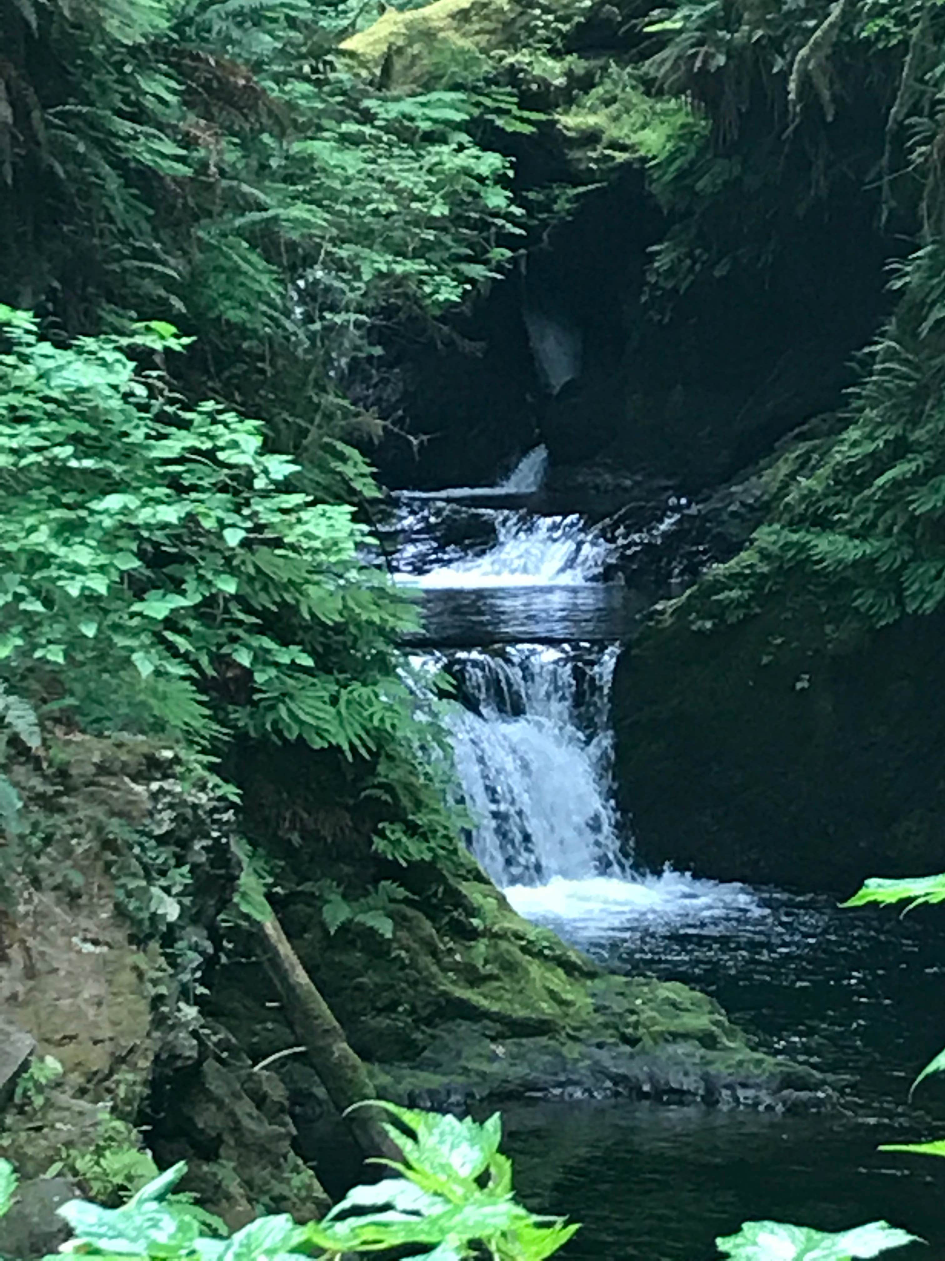 Queets Campground — Olympic National Park | Amanda Park, Washington