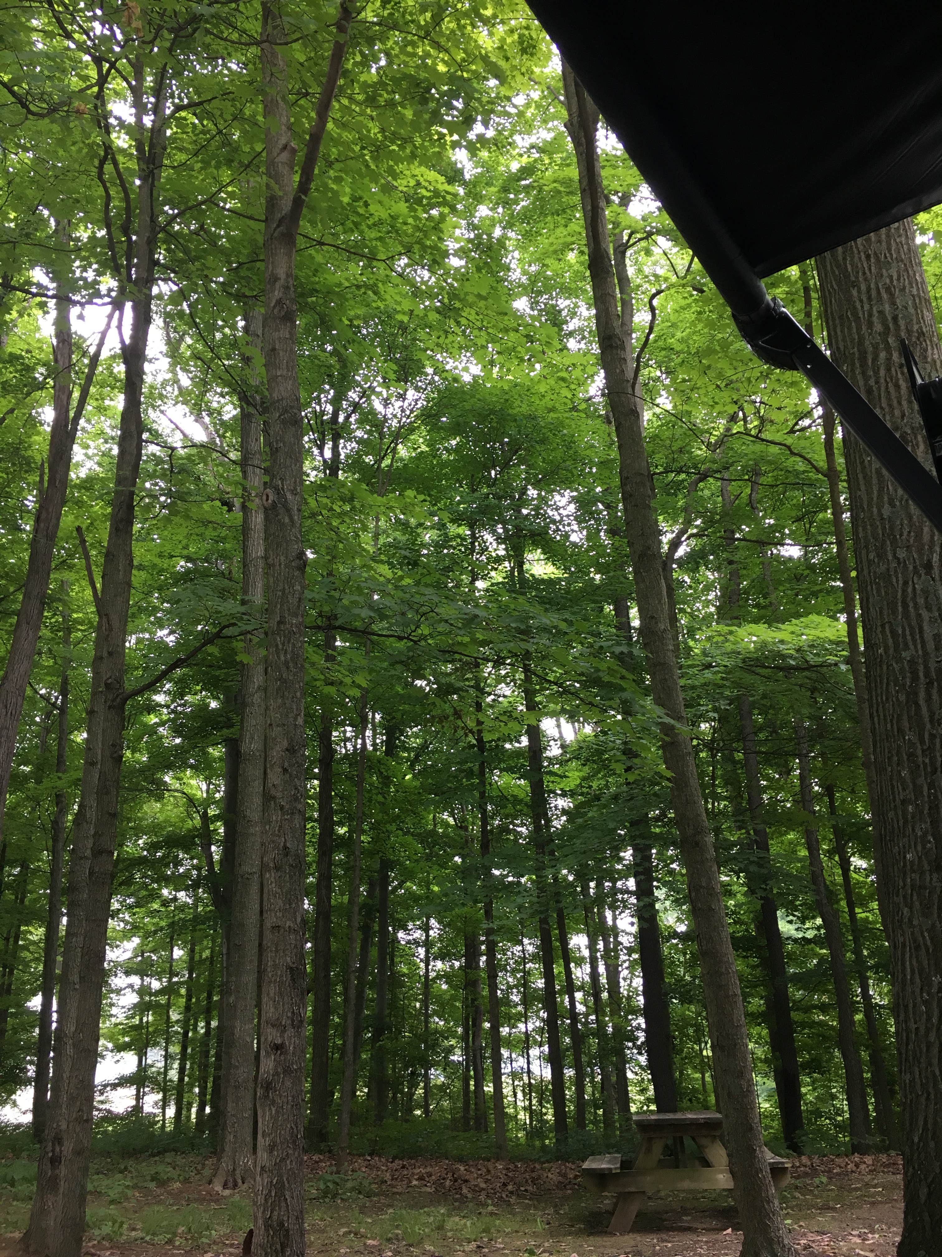 Cardinal Center Campground | Marengo, OH