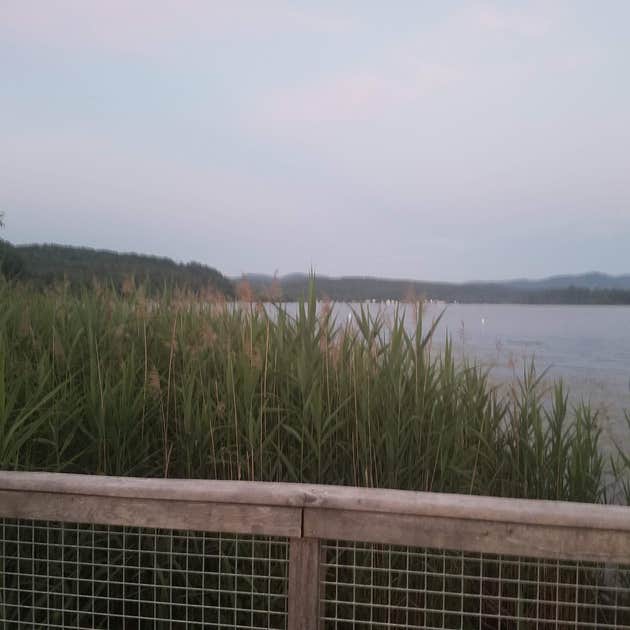 Bomoseen State Park Campground | Bomoseen, Vermont