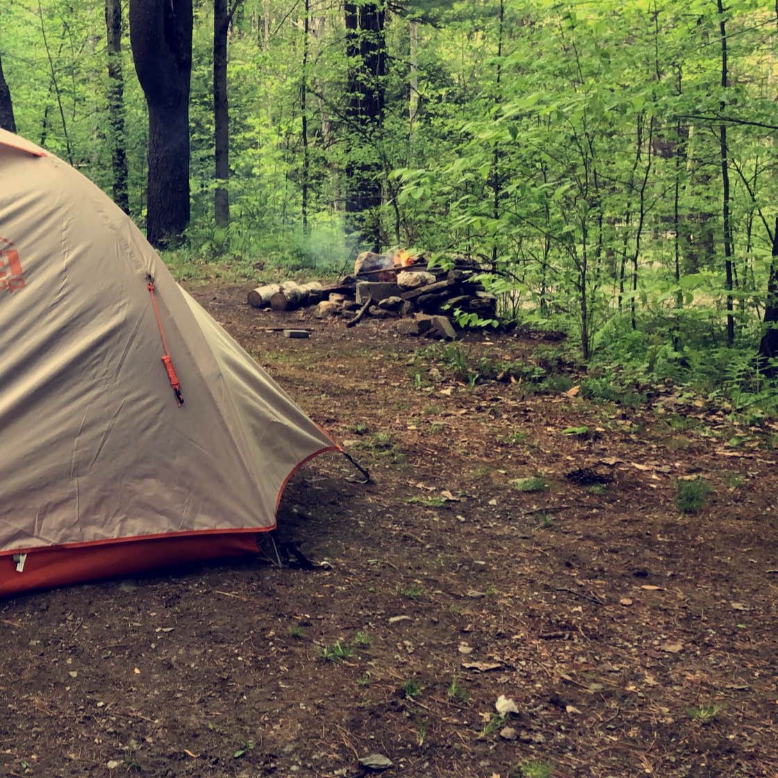 Mt. Greylock Campsite Park Camping | The Dyrt