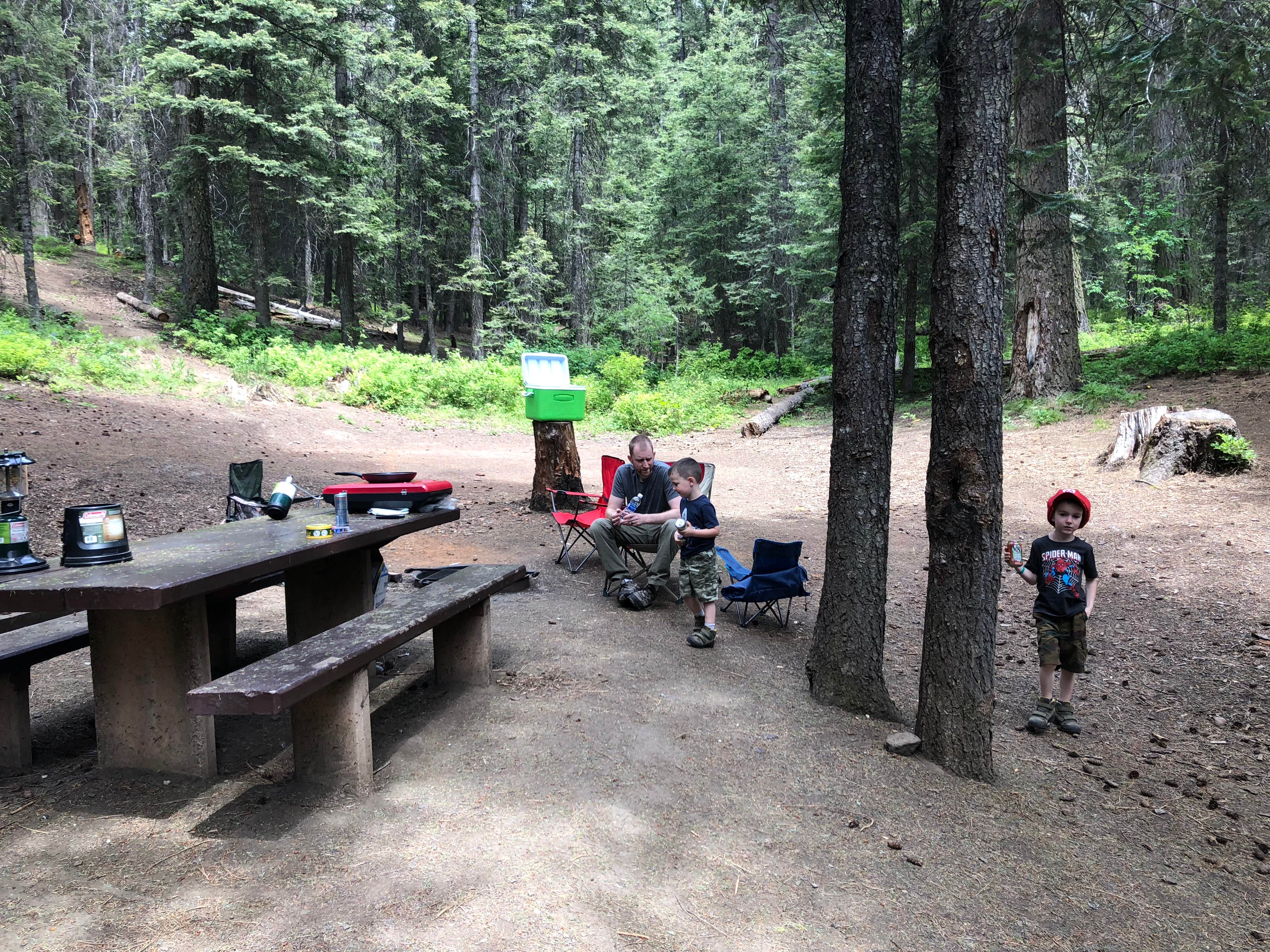 THE 10+ BEST Campgrounds near Cascade, ID | Updated 2025