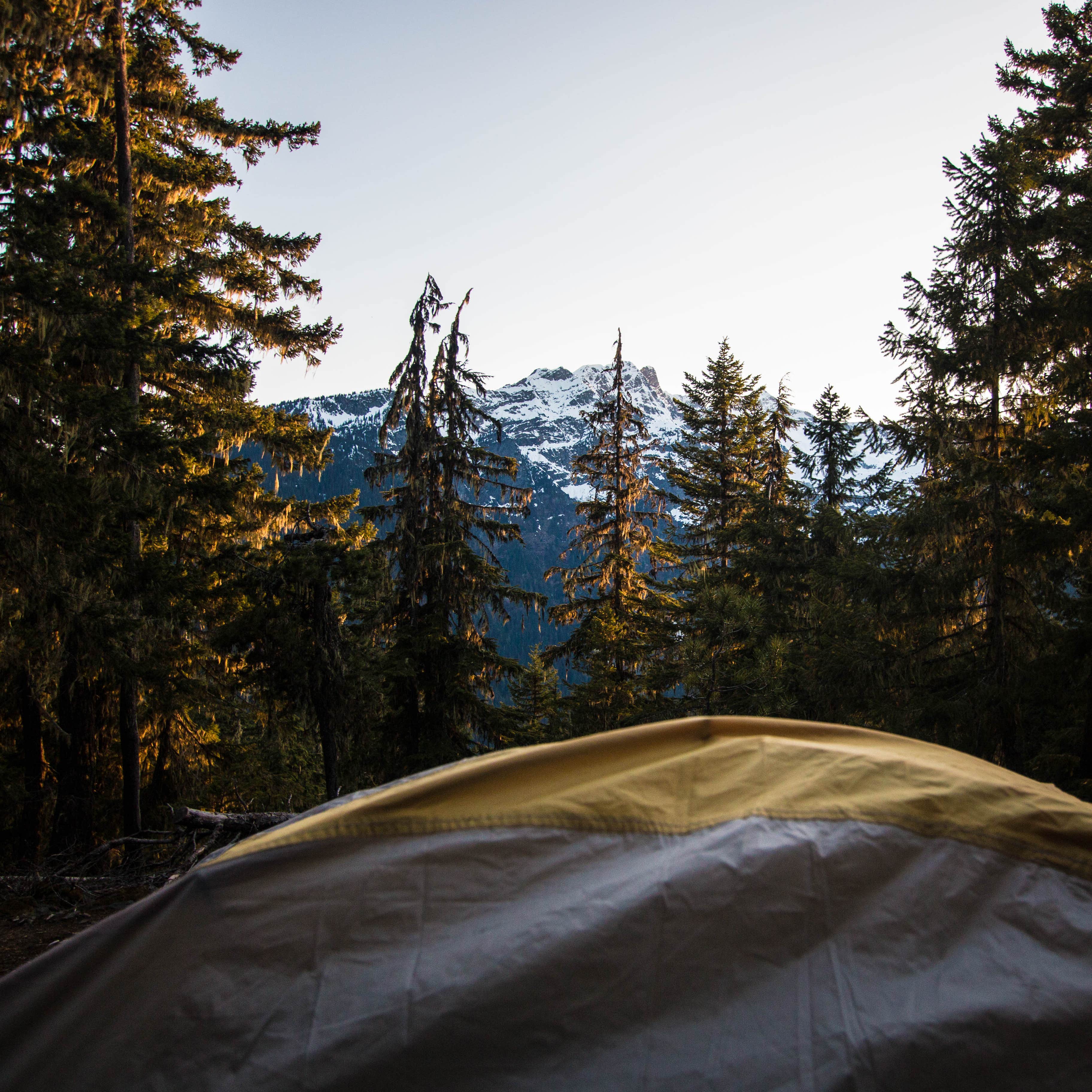 Fourth of July Pass Camping | The Dyrt
