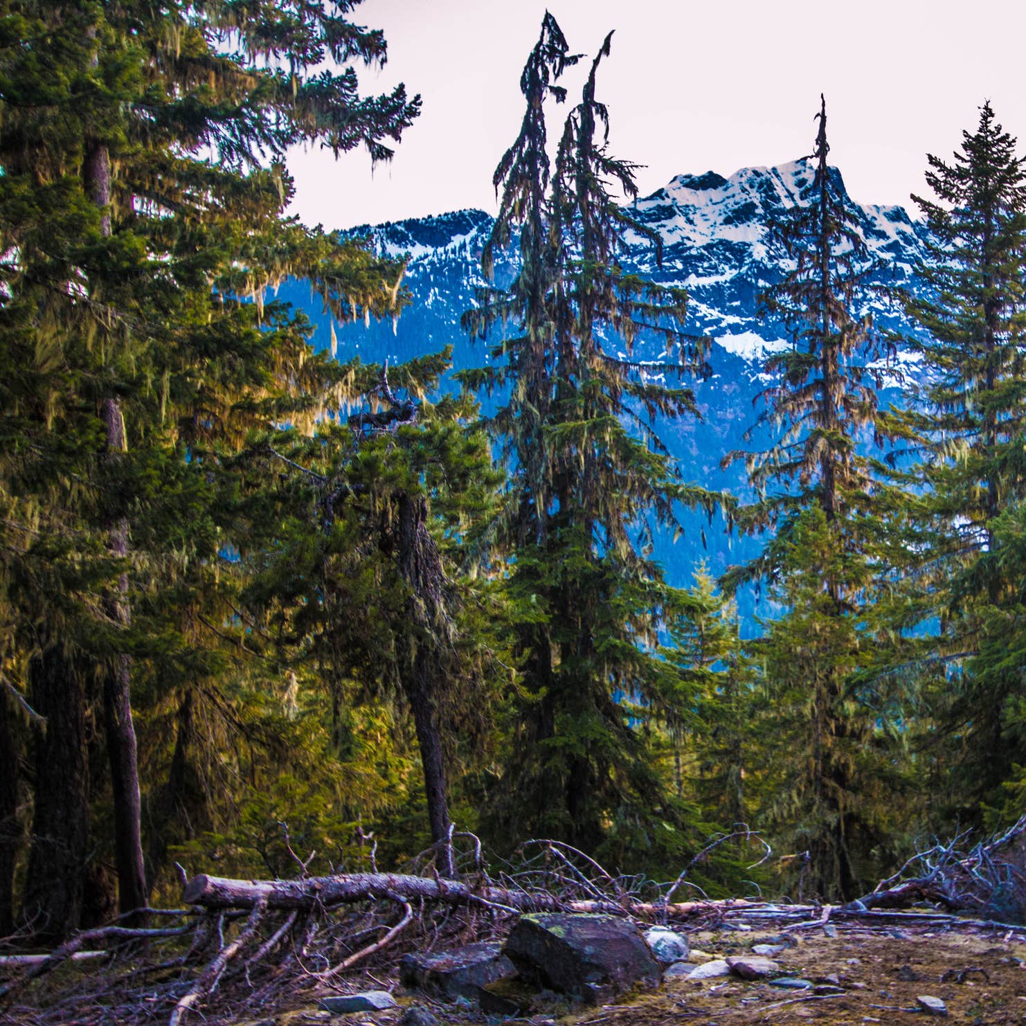 Fourth of July Pass — Ross Lake National Recreation Area Camping ...