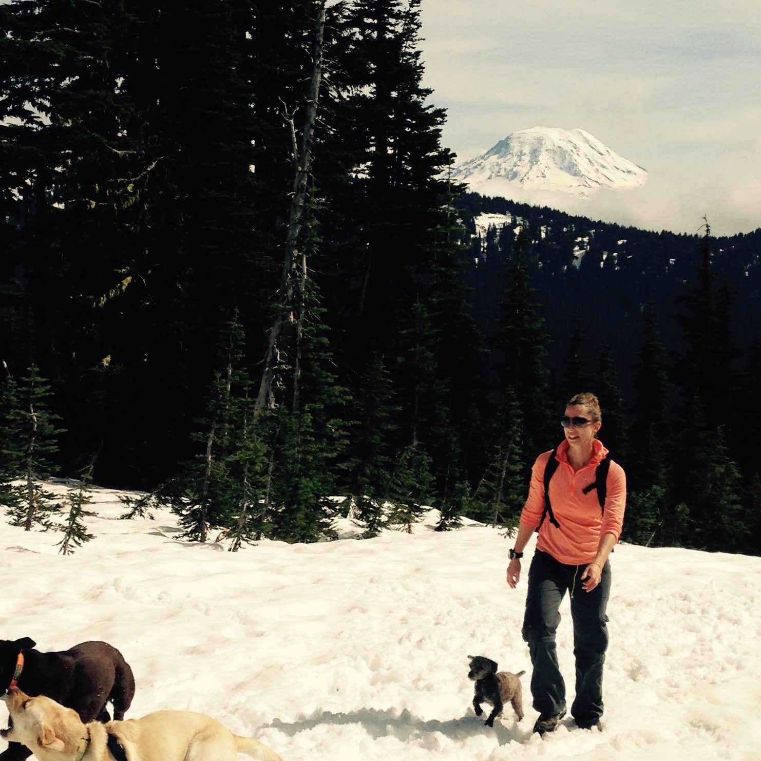 Walupt Lake Campground Camping | The Dyrt