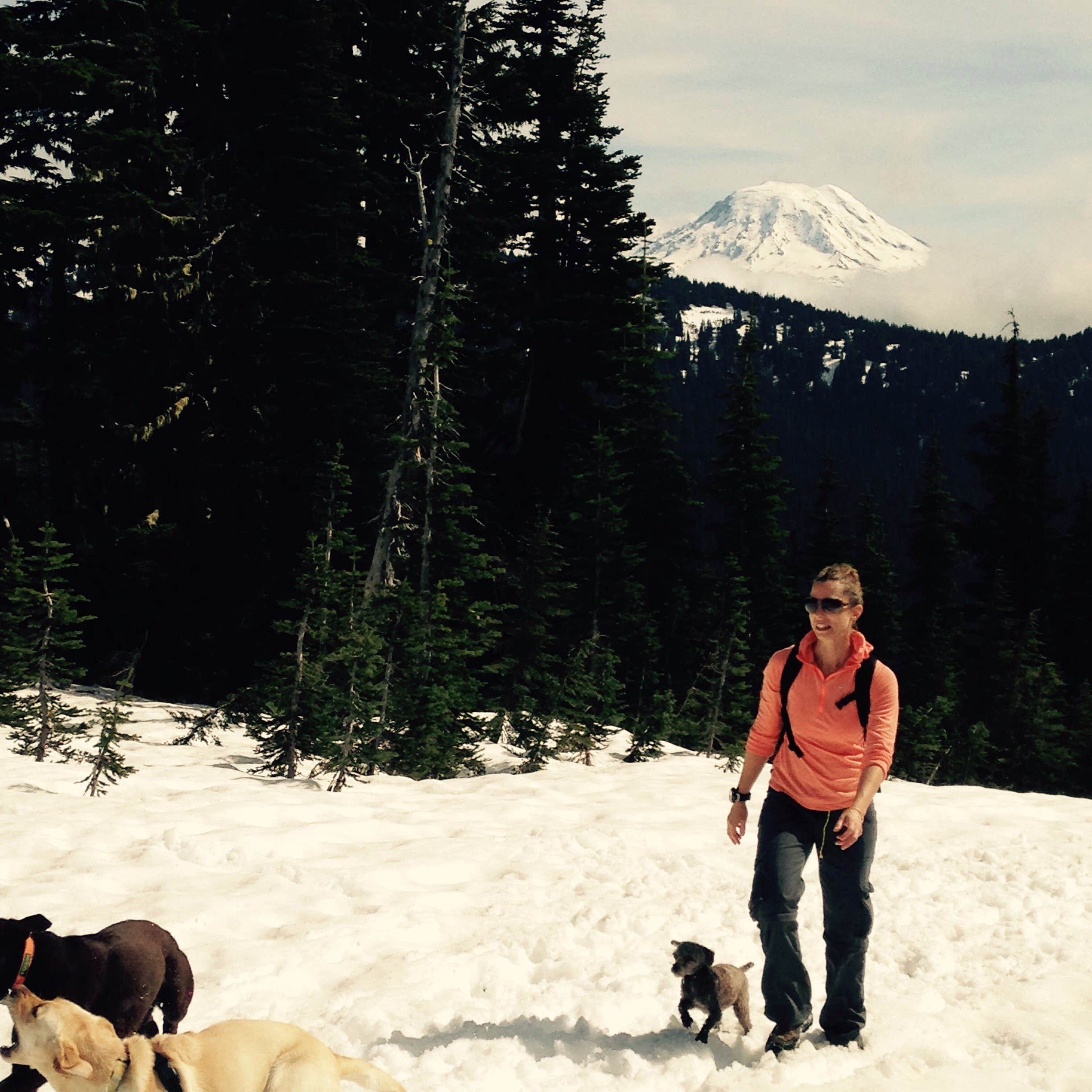 Walupt Lake Campground Camping | The Dyrt