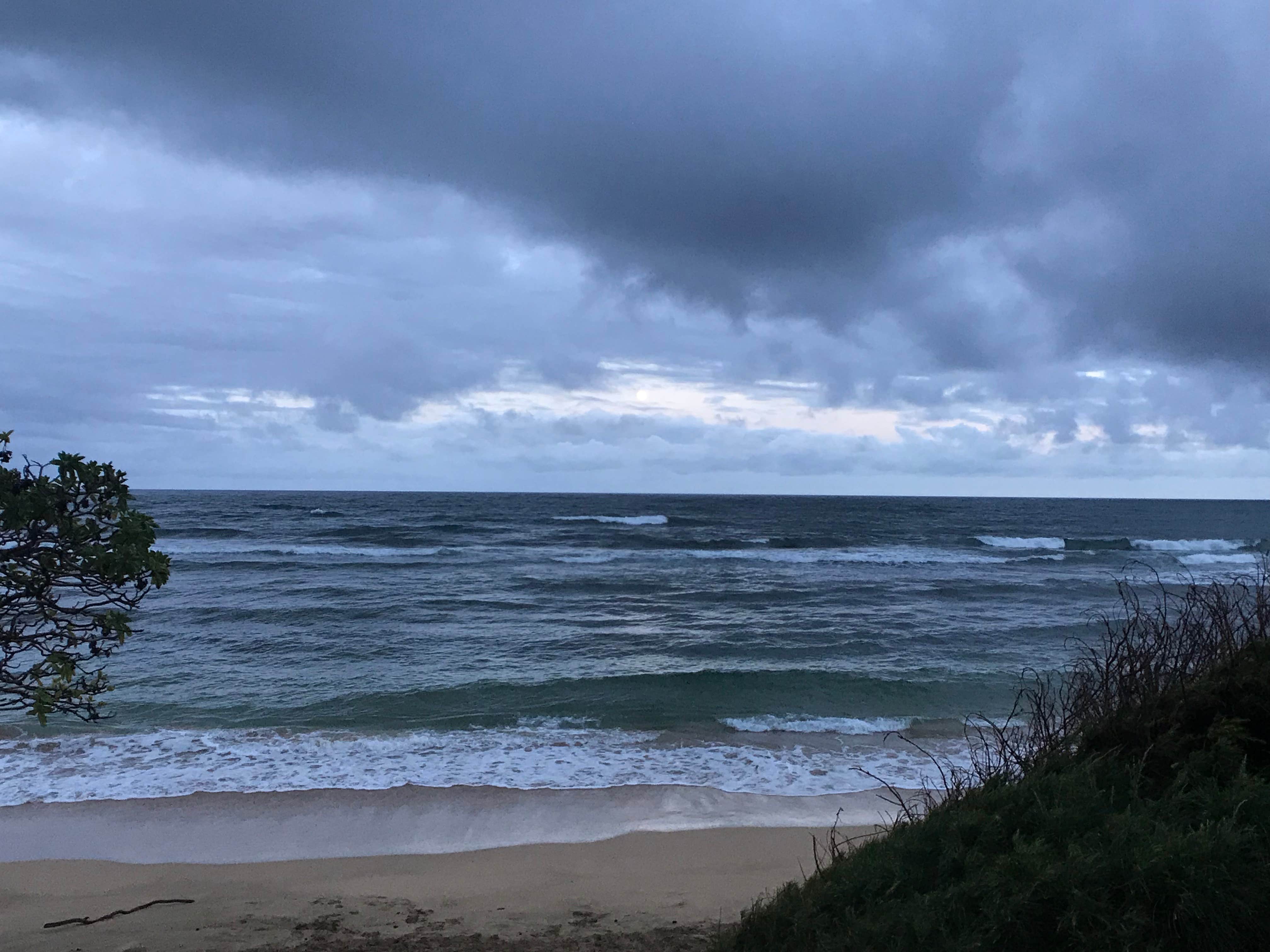 Lydgate State Park Camping | The Dyrt