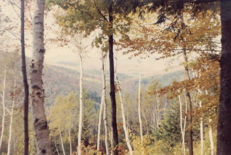Coolidge State Park Campground | Plymouth, VT