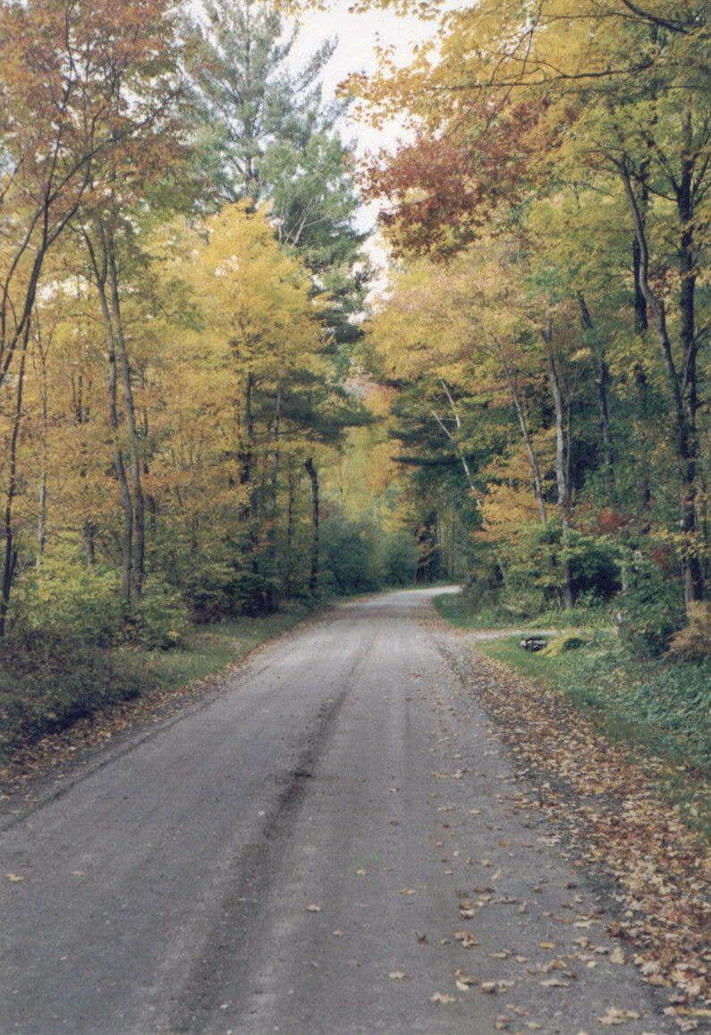 Coolidge State Park Campground | Plymouth, VT