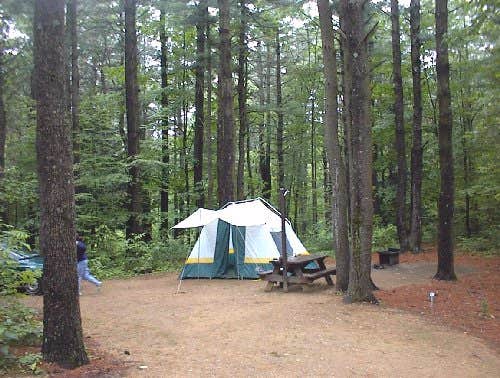 Wells State Park Campground | Sturbridge, MA