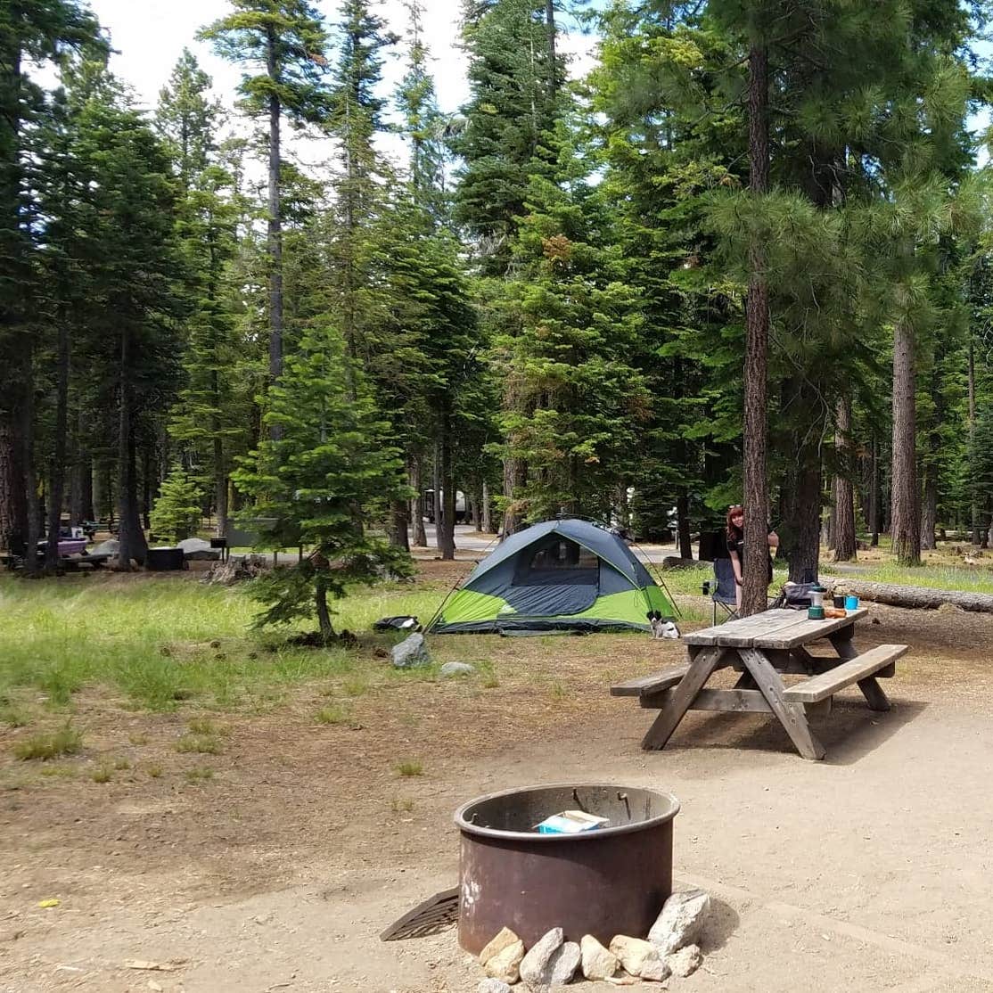 Sugar Pine Point State Park Camping | The Dyrt