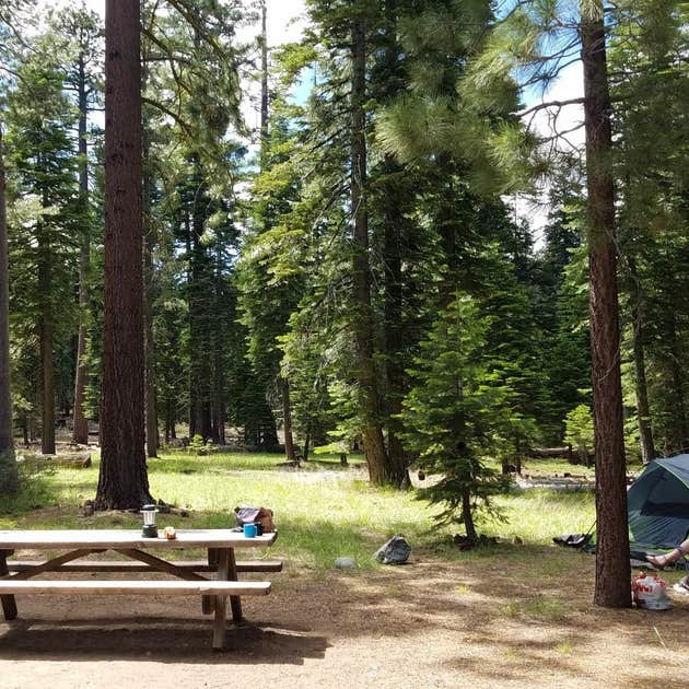 Sugar Pine Point State Park Camping | The Dyrt
