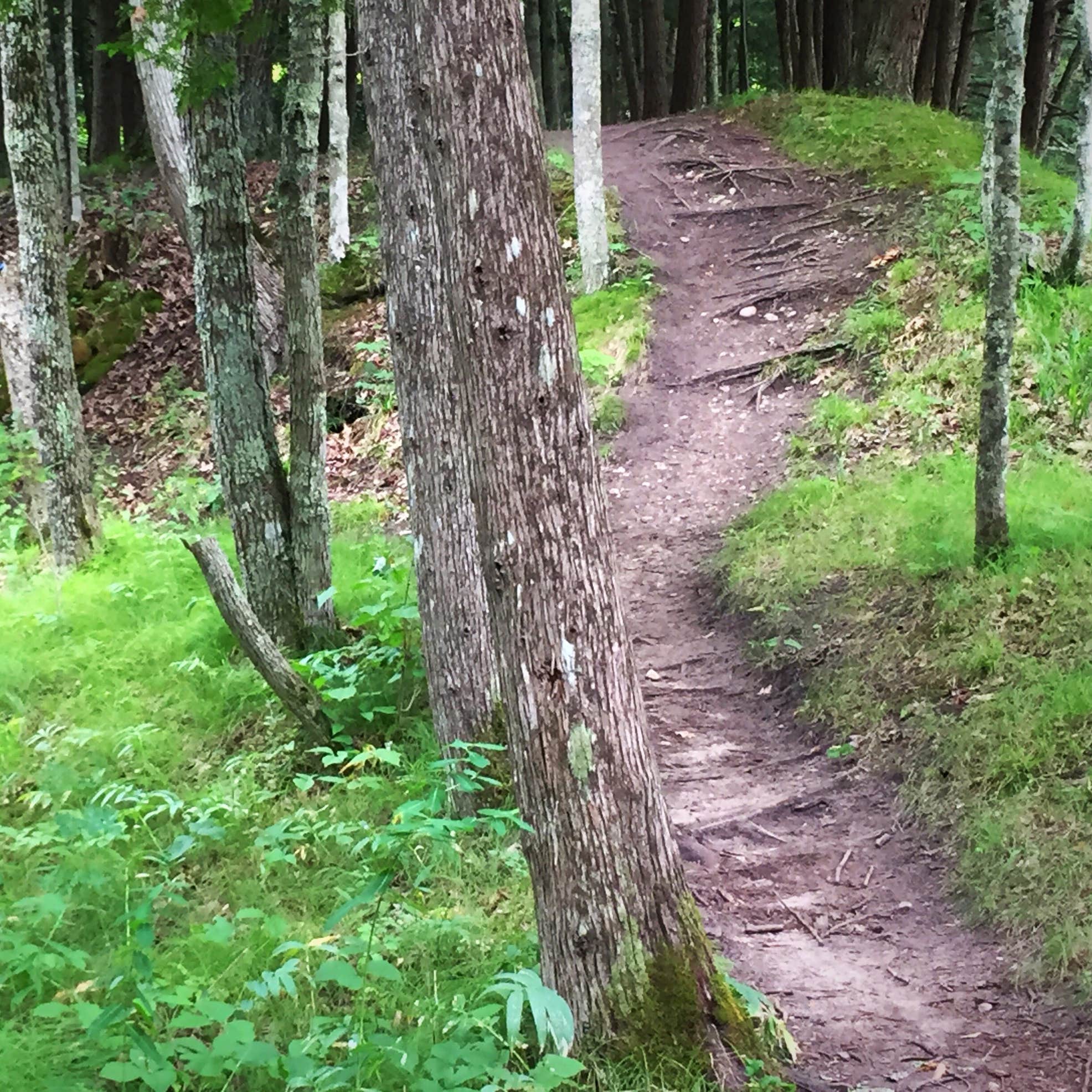 Huron-Manistee National Forest Camping | Brethren, Michigan