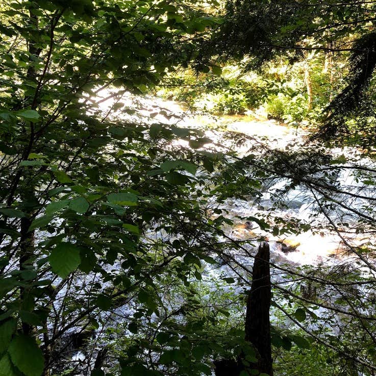 Riverside at Detroit Campground Camping | The Dyrt