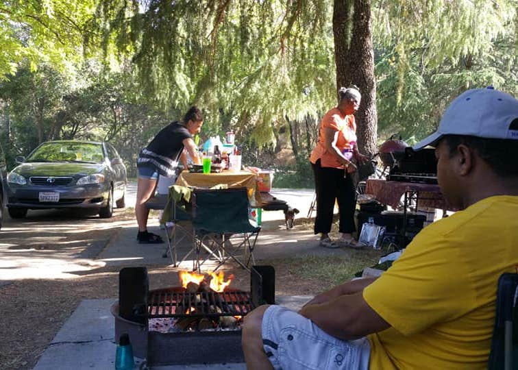 Lake Solano County Park Camping | The Dyrt