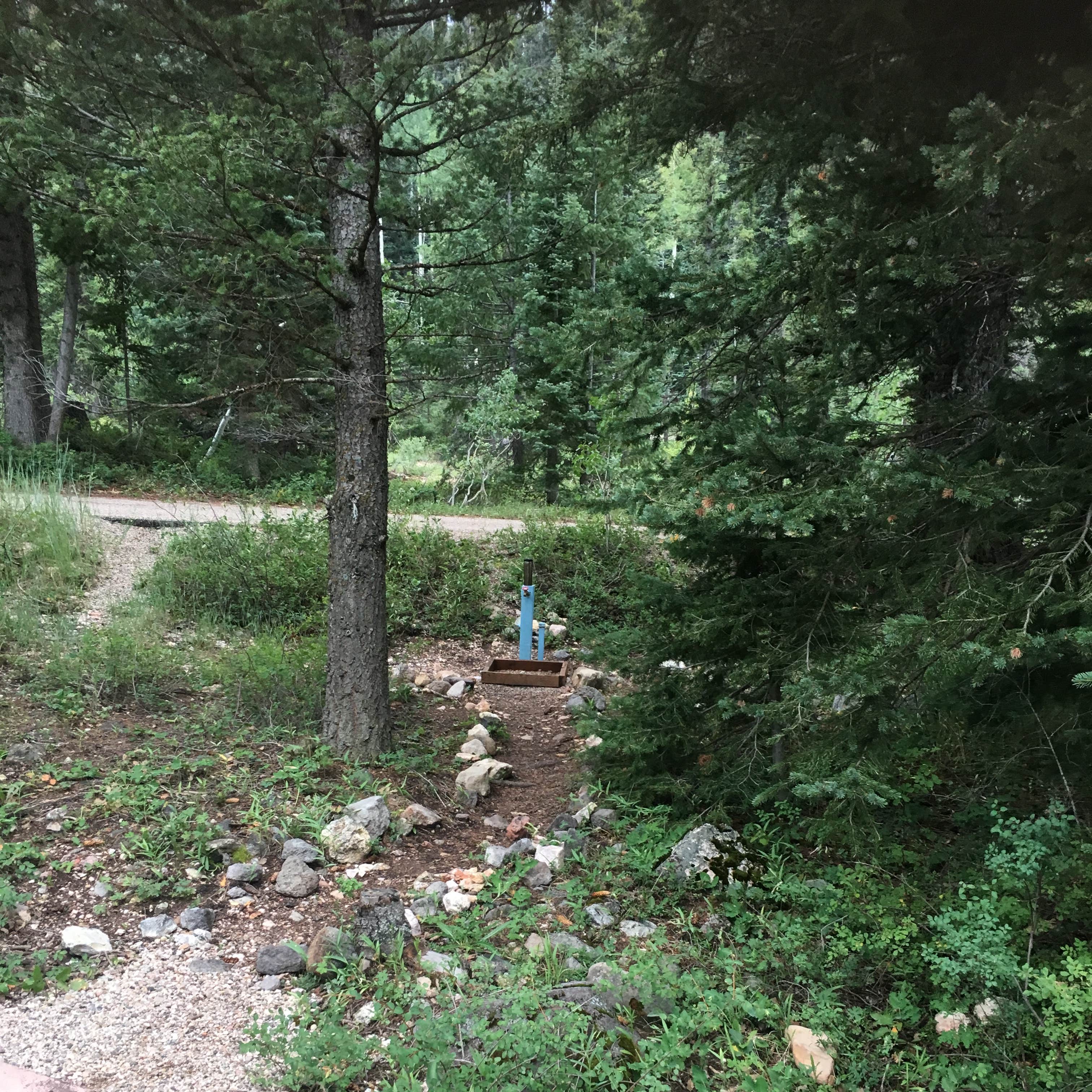 Cedar Canyon Camping | Brian Head, UT | The Dyrt