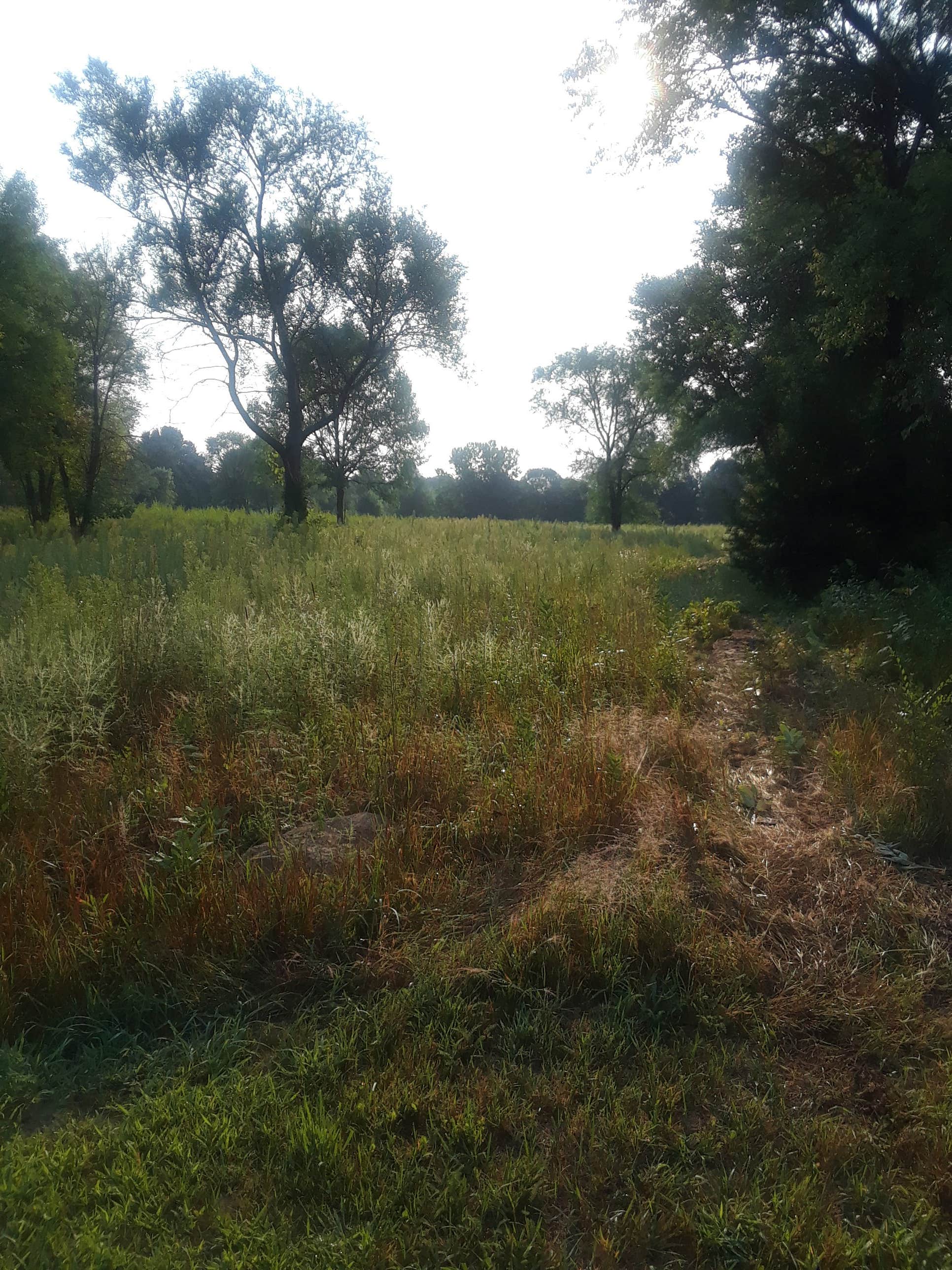 Ham Lake Resort Camping | Andover, Minnesota