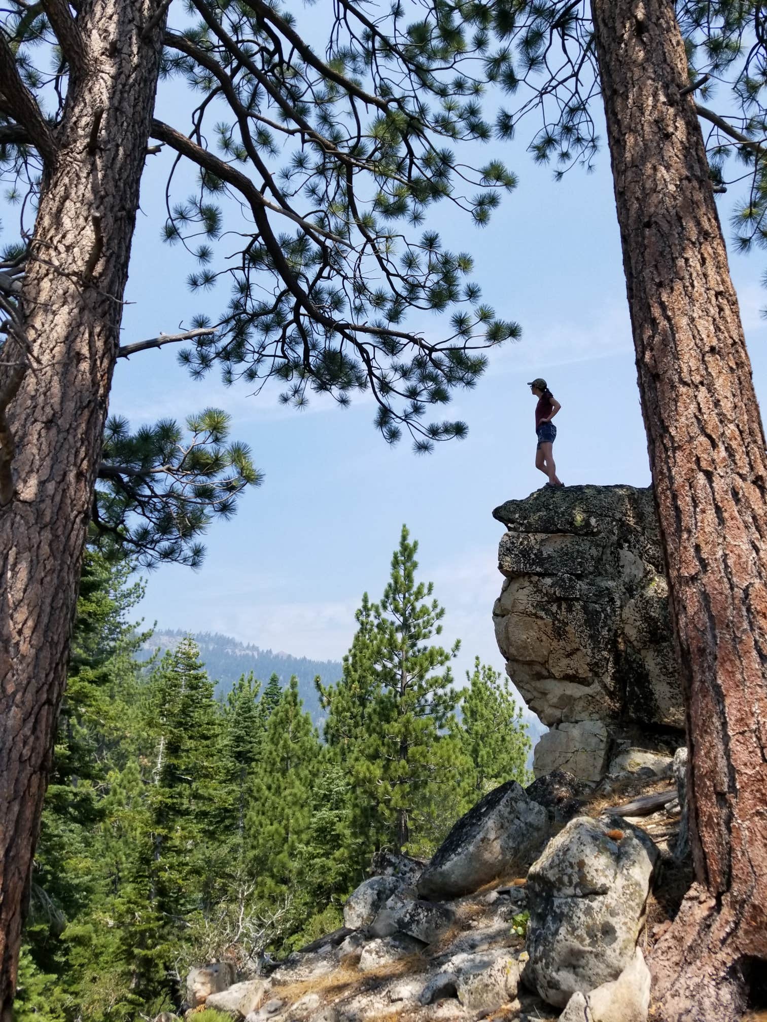 Dog Valley | The Dyrt