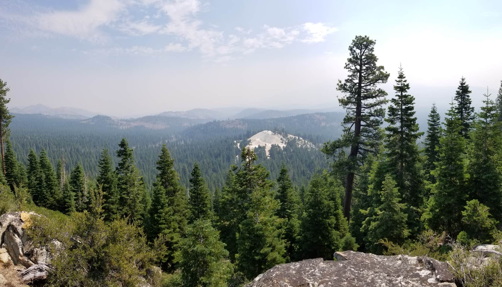 Dog Valley | The Dyrt