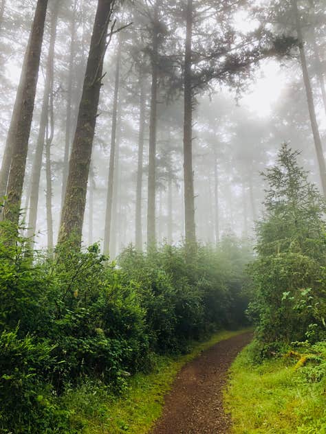 Sky Camp - Point Reyes NS | The Dyrt