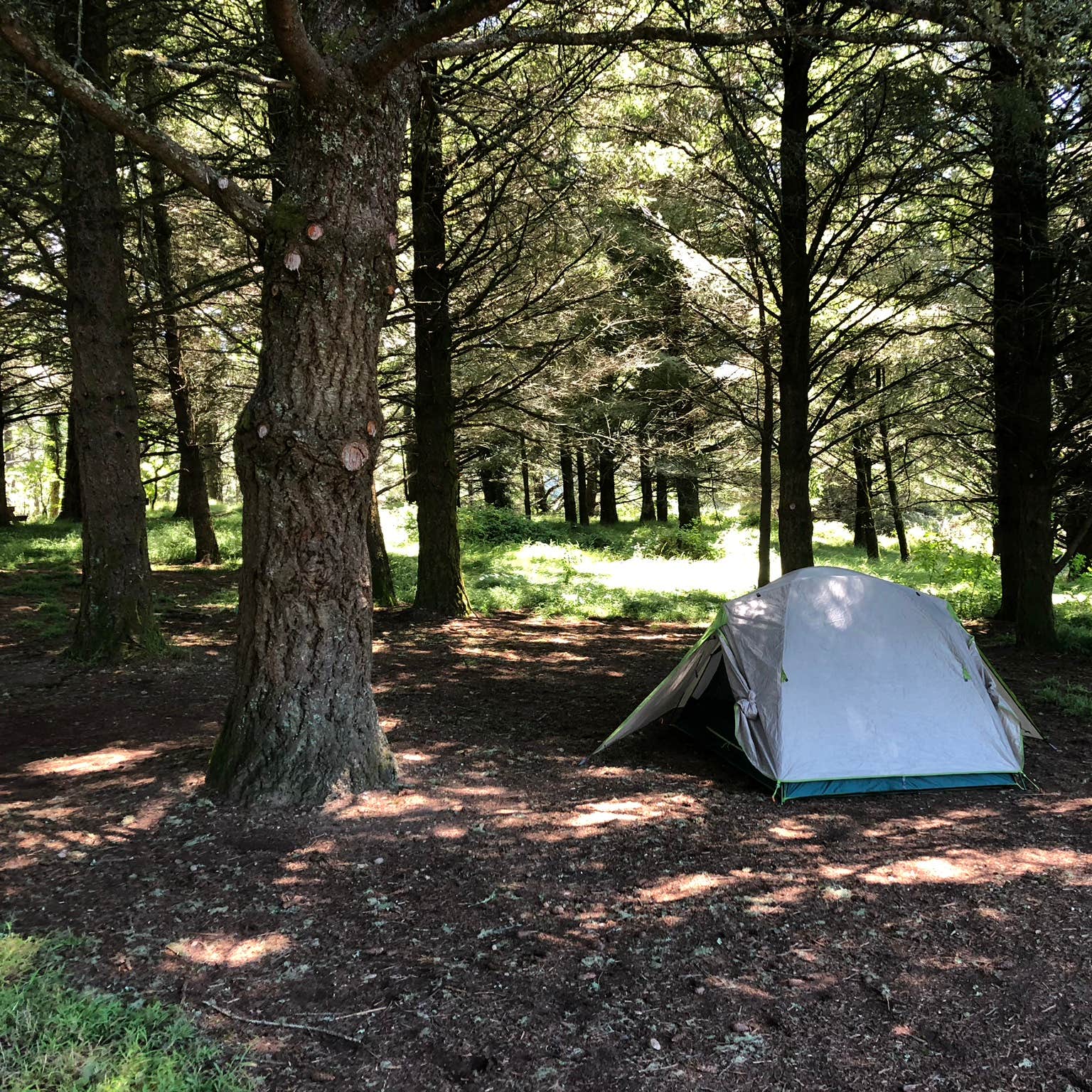 Sky Camp - Point Reyes NS Camping | The Dyrt