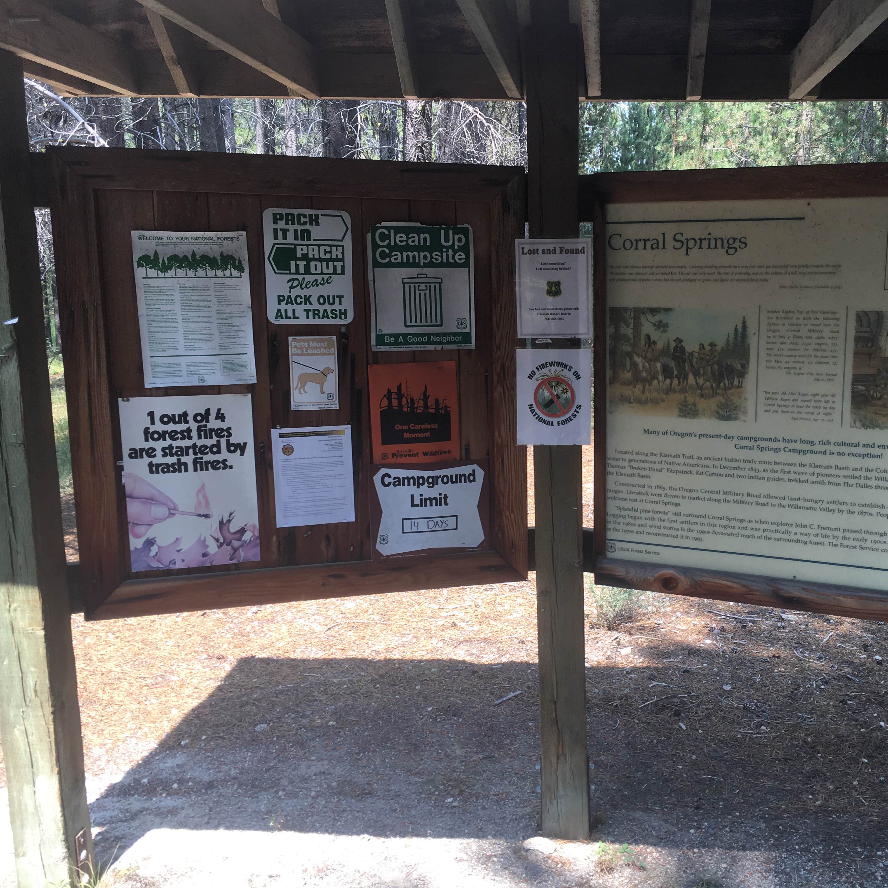 Corral Springs Campground | Chemult, Oregon