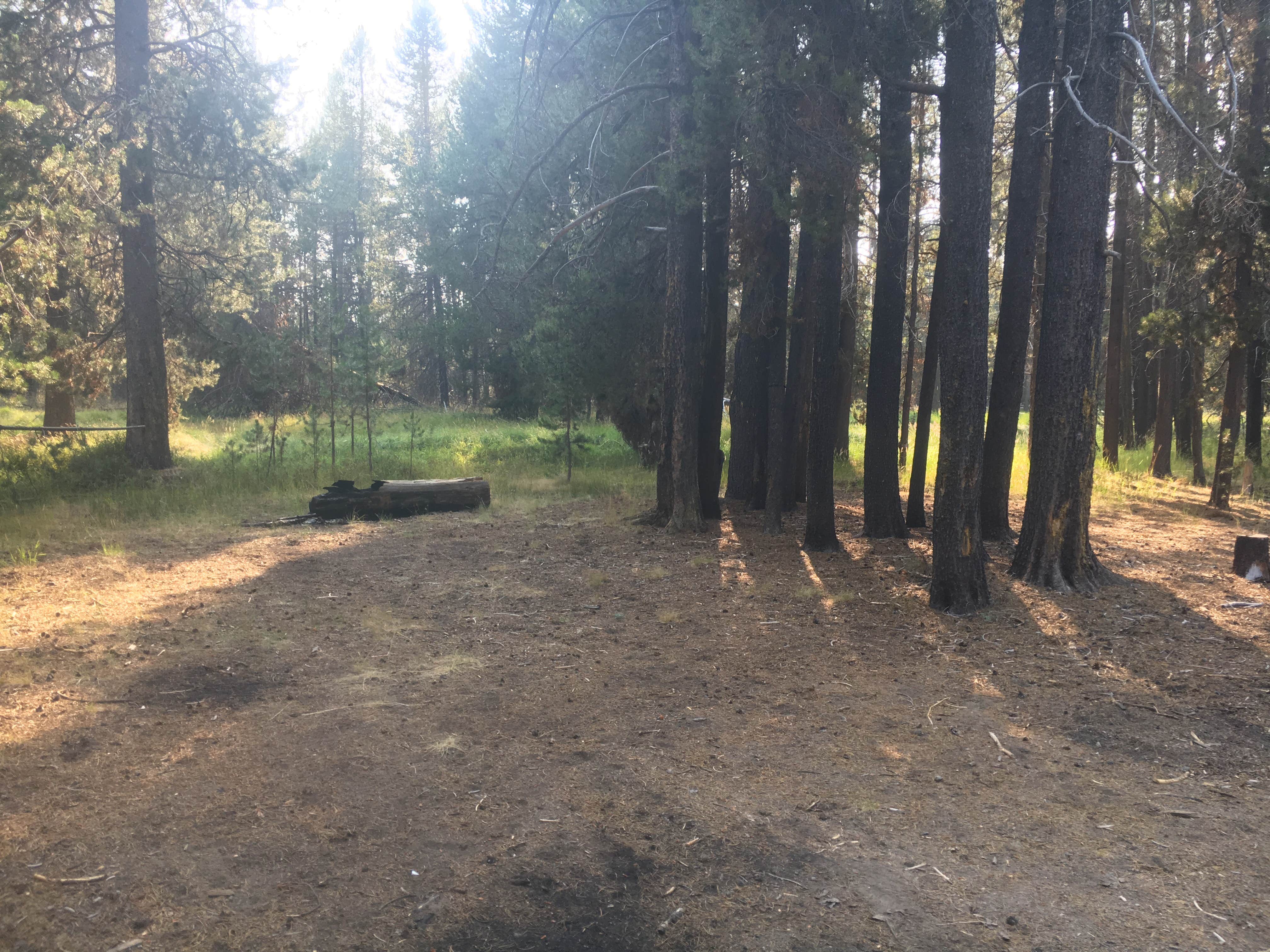 Digit Point Campground | The Dyrt