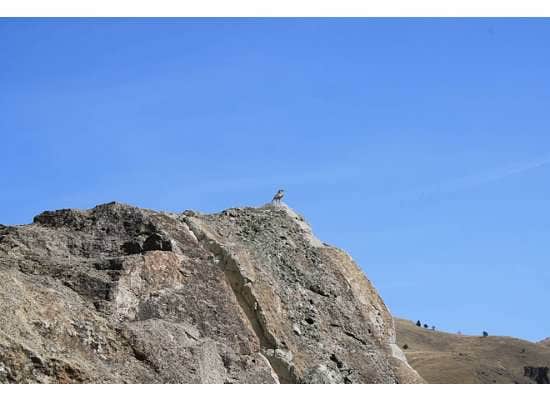 Service Creek Campground | Spray, OR