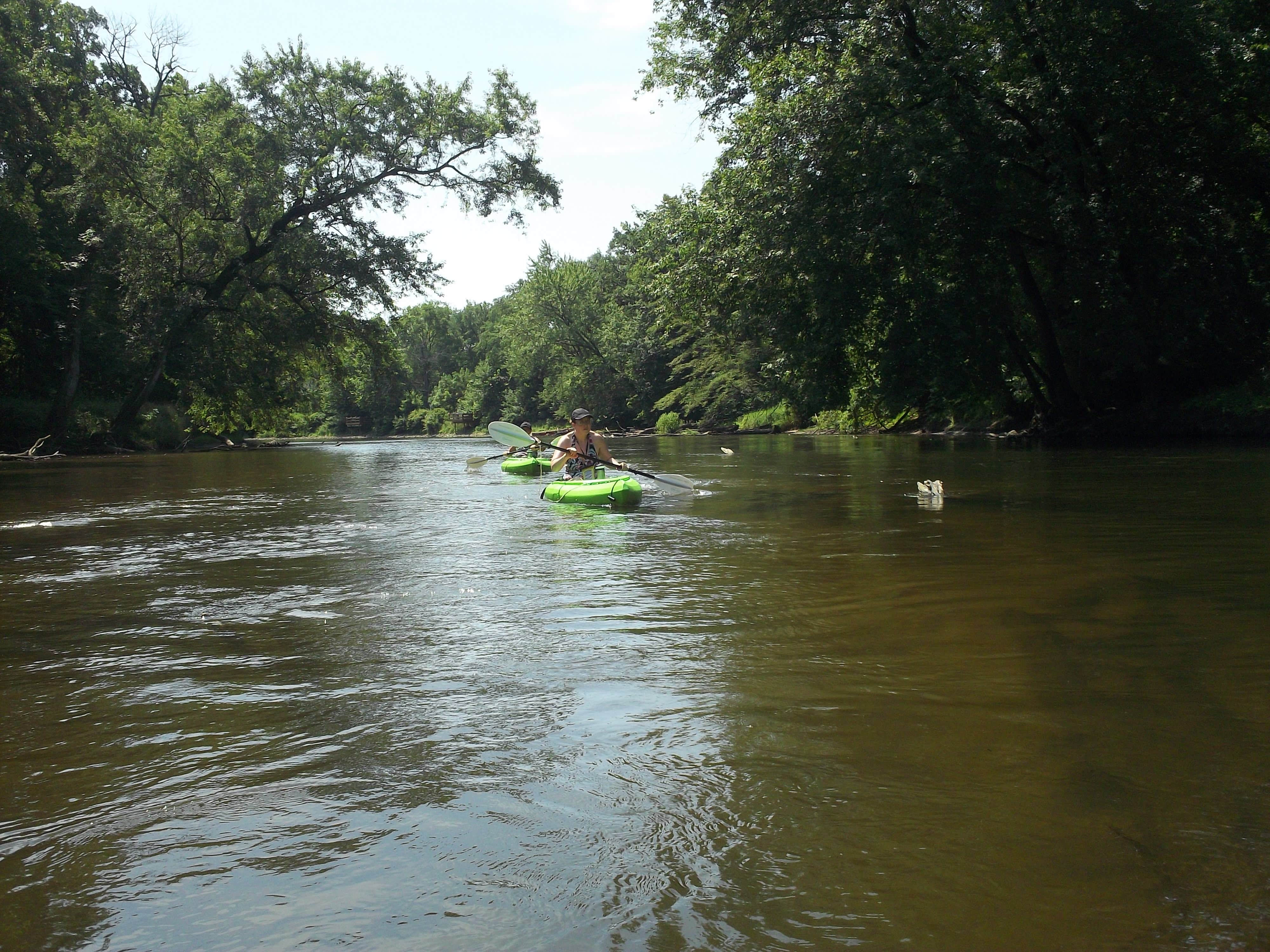 Tippecanoe River State Park Campground | Winamac, IN
