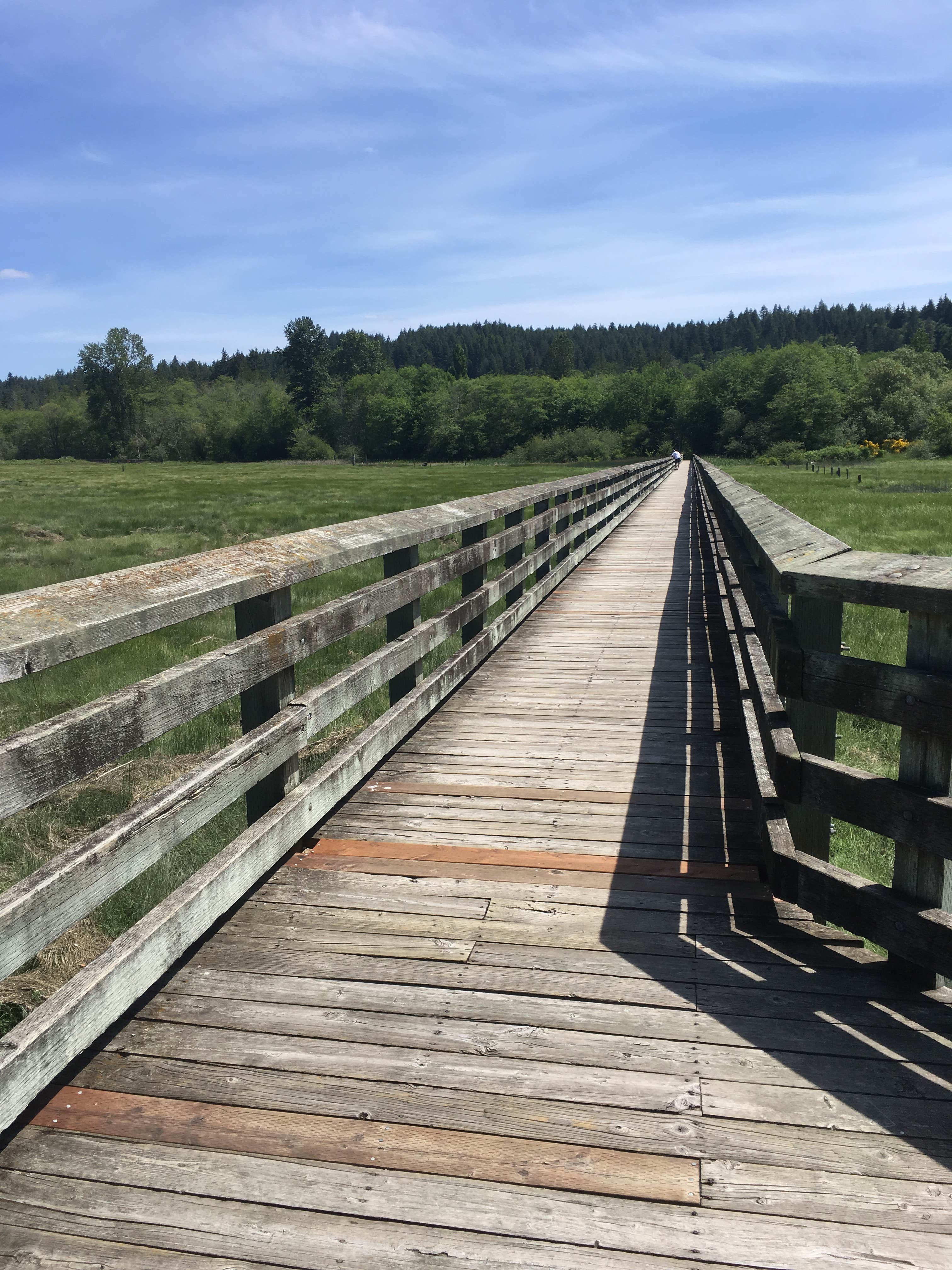 Belfair State Park Campground | Belfair, WA