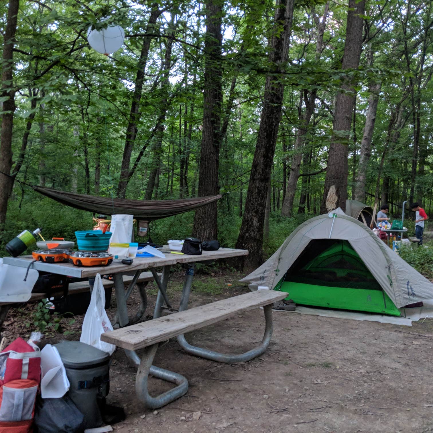 Camp Sullivan Camping | The Dyrt