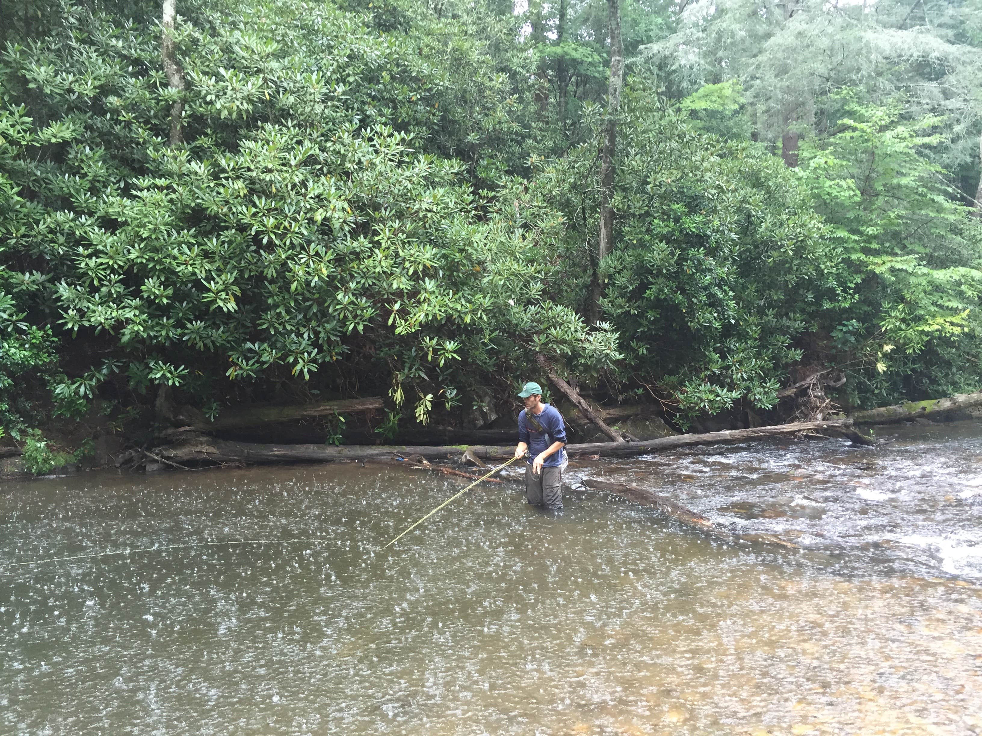 Chattahoochee-Oconee/Cooper Creek | The Dyrt