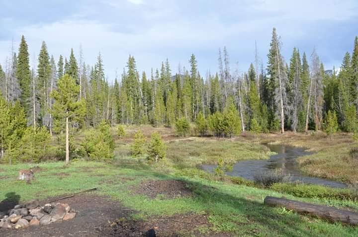 Ranger Lakes Campground — State Forest State Park | Walden, CO
