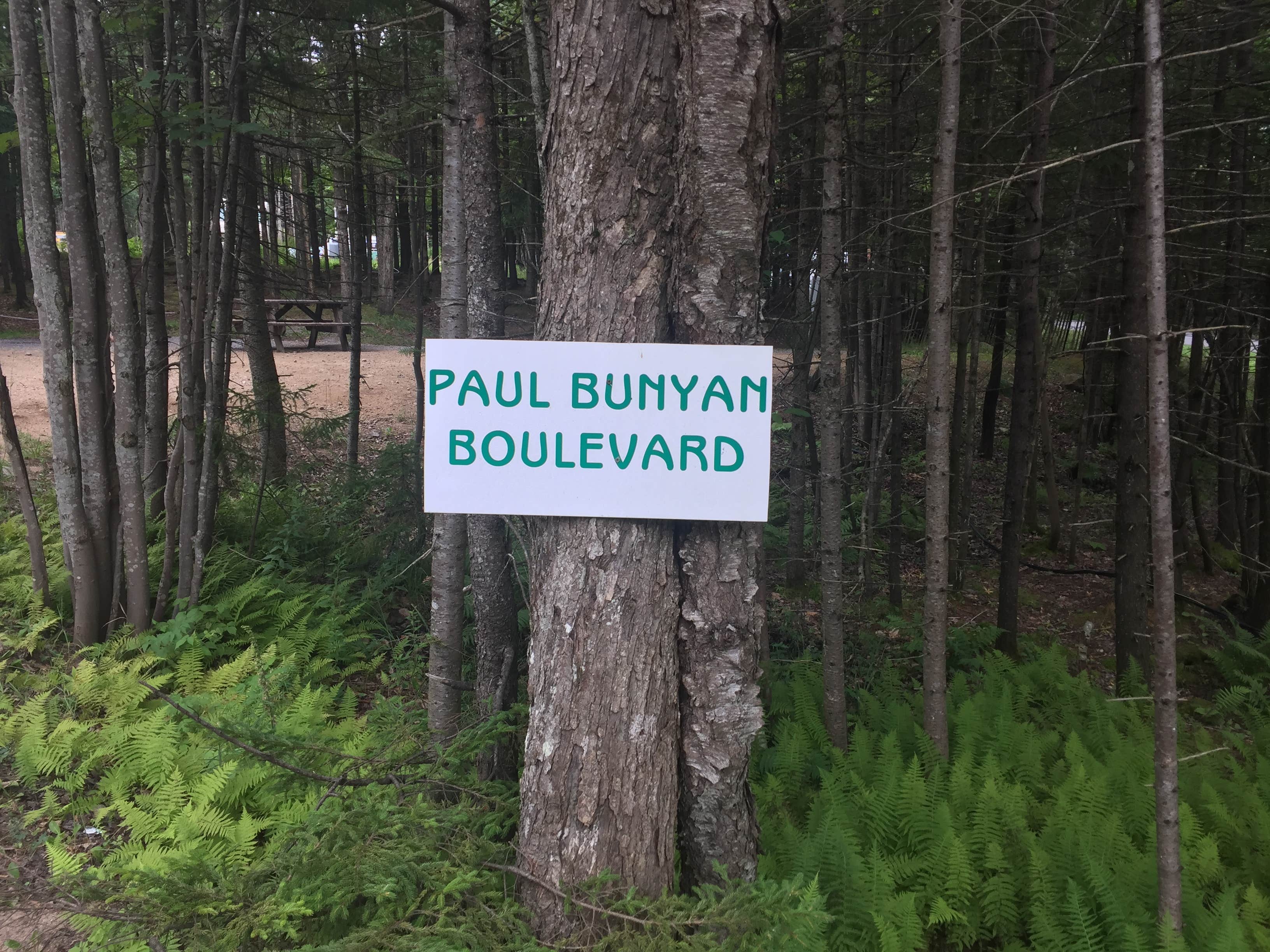 Old Forge Camping Resort | Old Forge, New York