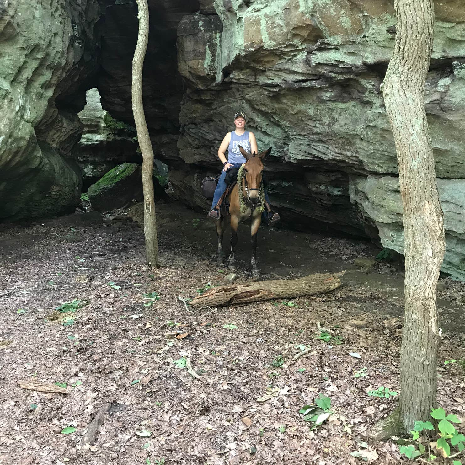 Hayes Canyon Campground | Eddyville, Illinois