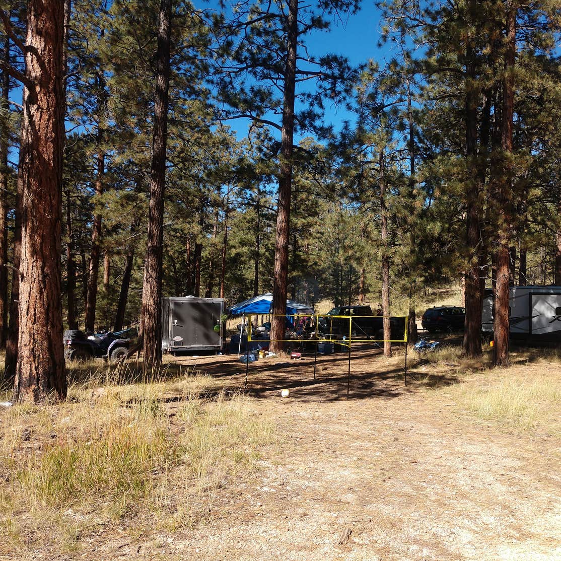 Forest Road 248 Campsite | Jacob Lake, Arizona