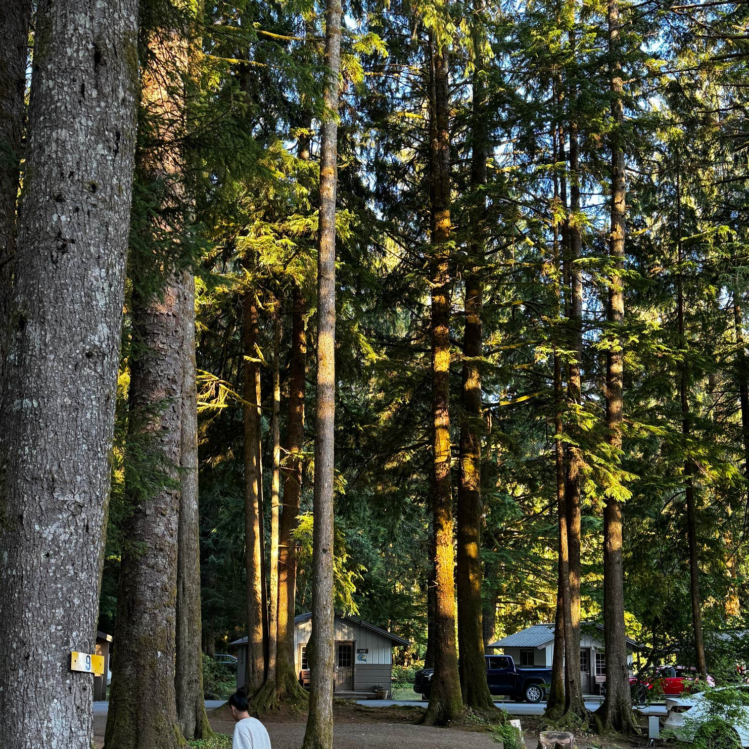 3 Rivers Resort Camping | La Push, WA