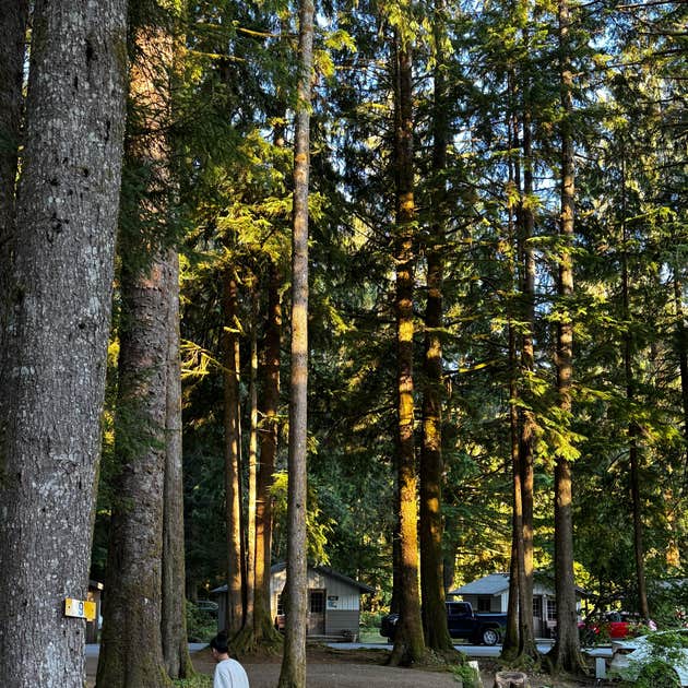 3 Rivers Resort Camping | La Push, Washington